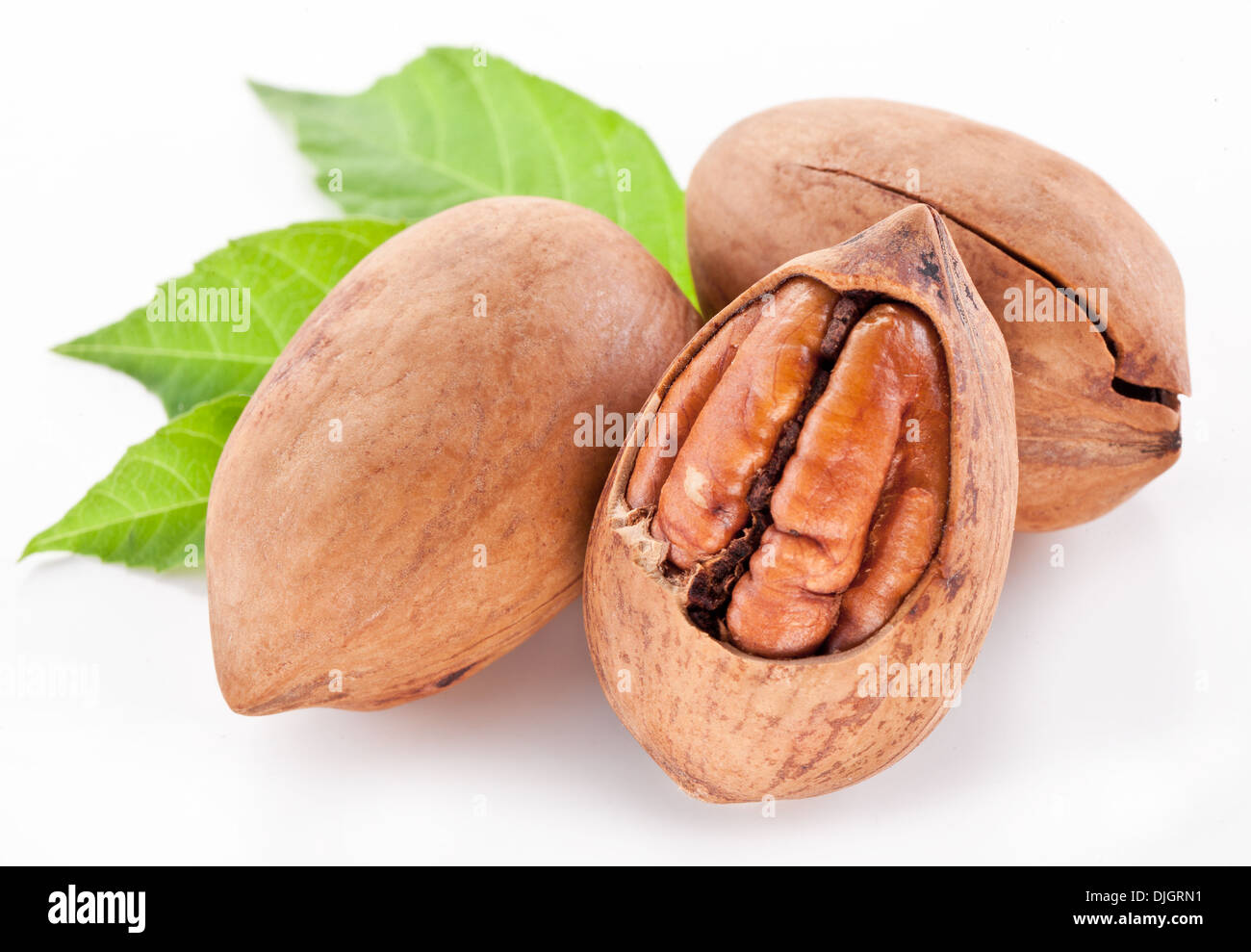 Pecan nuts with leaves isolated on a white background Stock Photo - Alamy