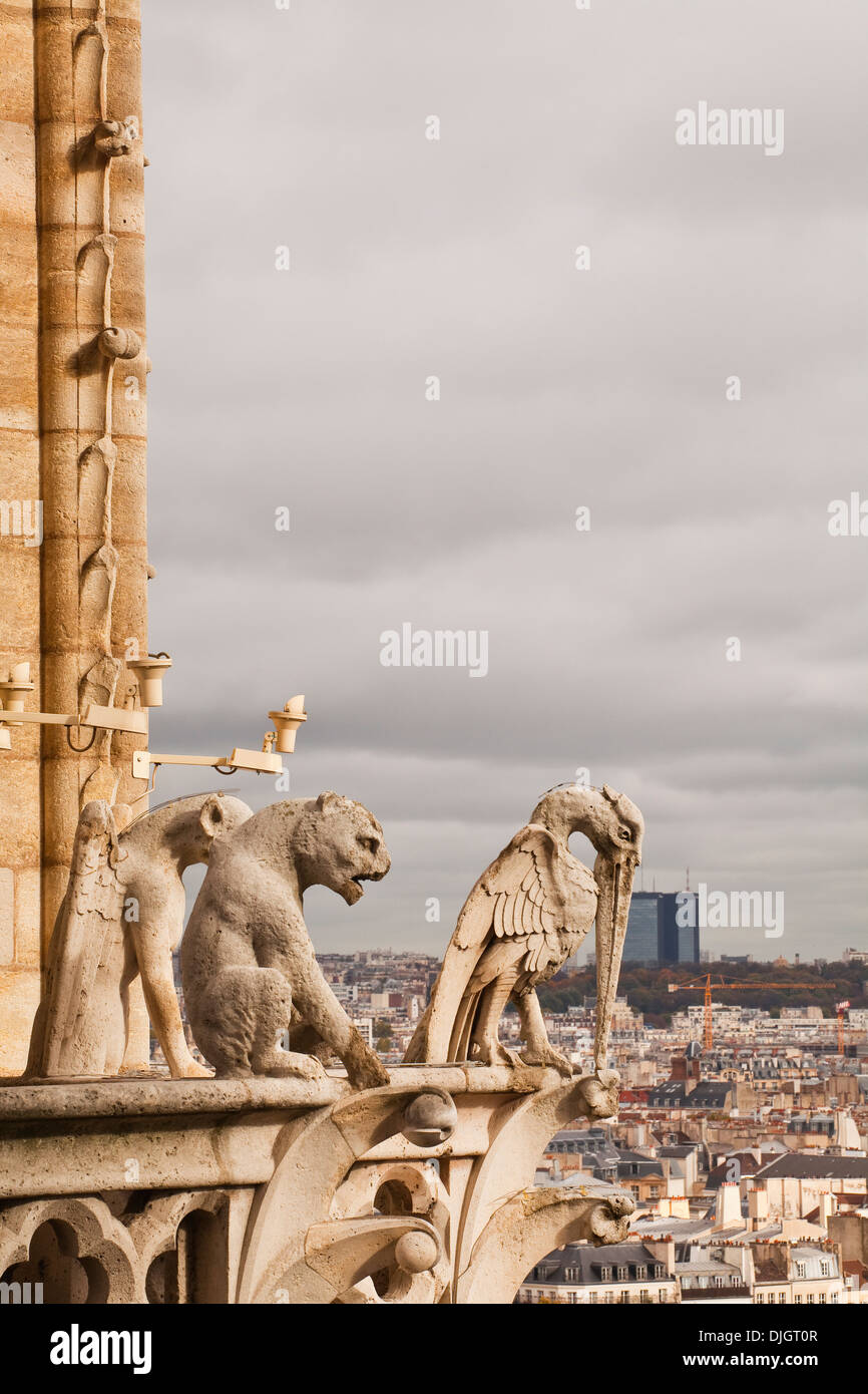 Three of the famous gargoyles adorning Notre Dame de Paris cathedral ...