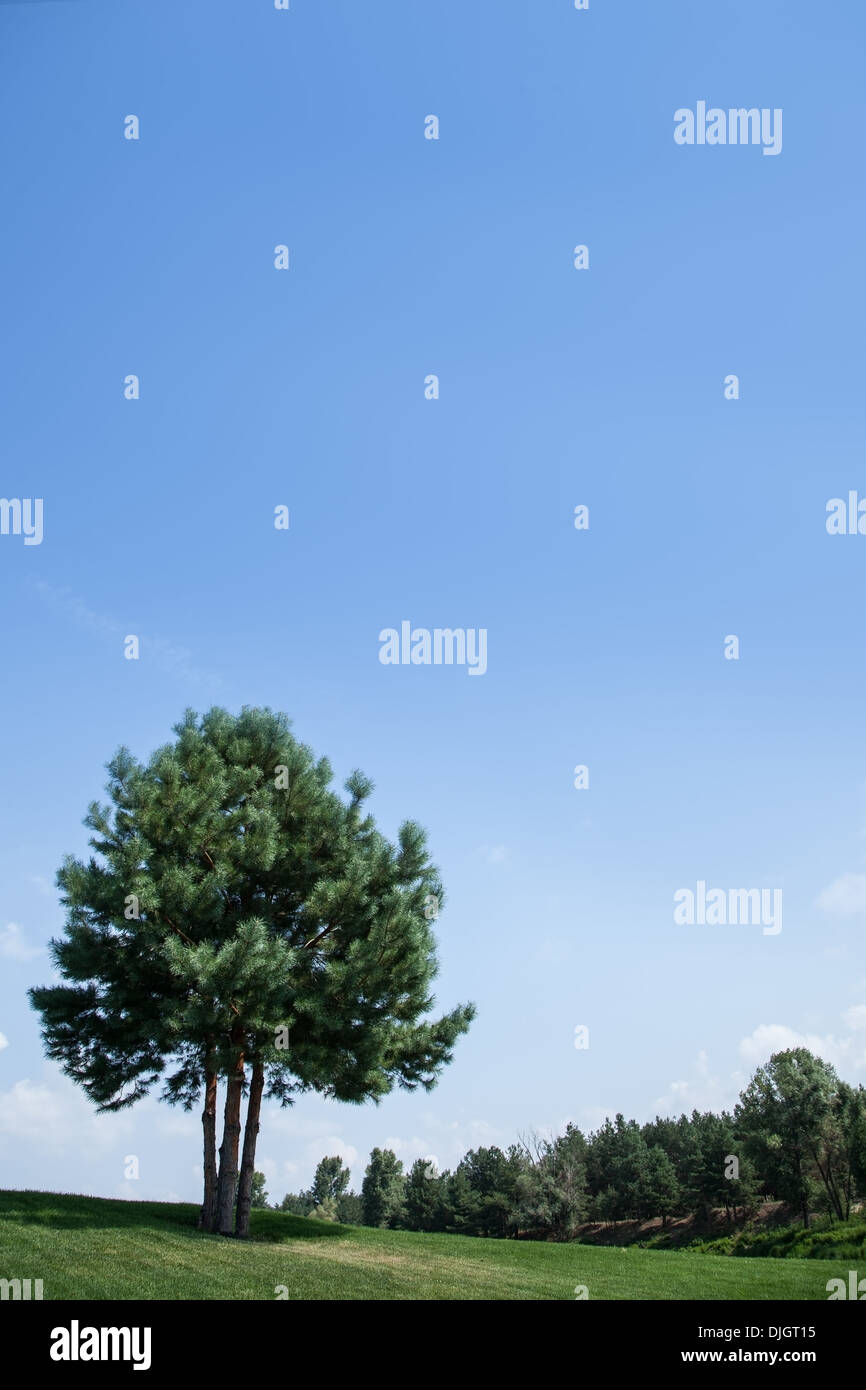 Rural skyline hi-res stock photography and images - Alamy