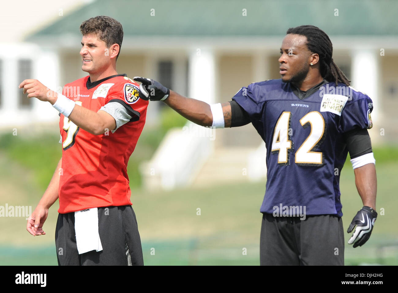 27 July 2010: Baltimore Ravens quarterback Marc Bulger (9) and running ...