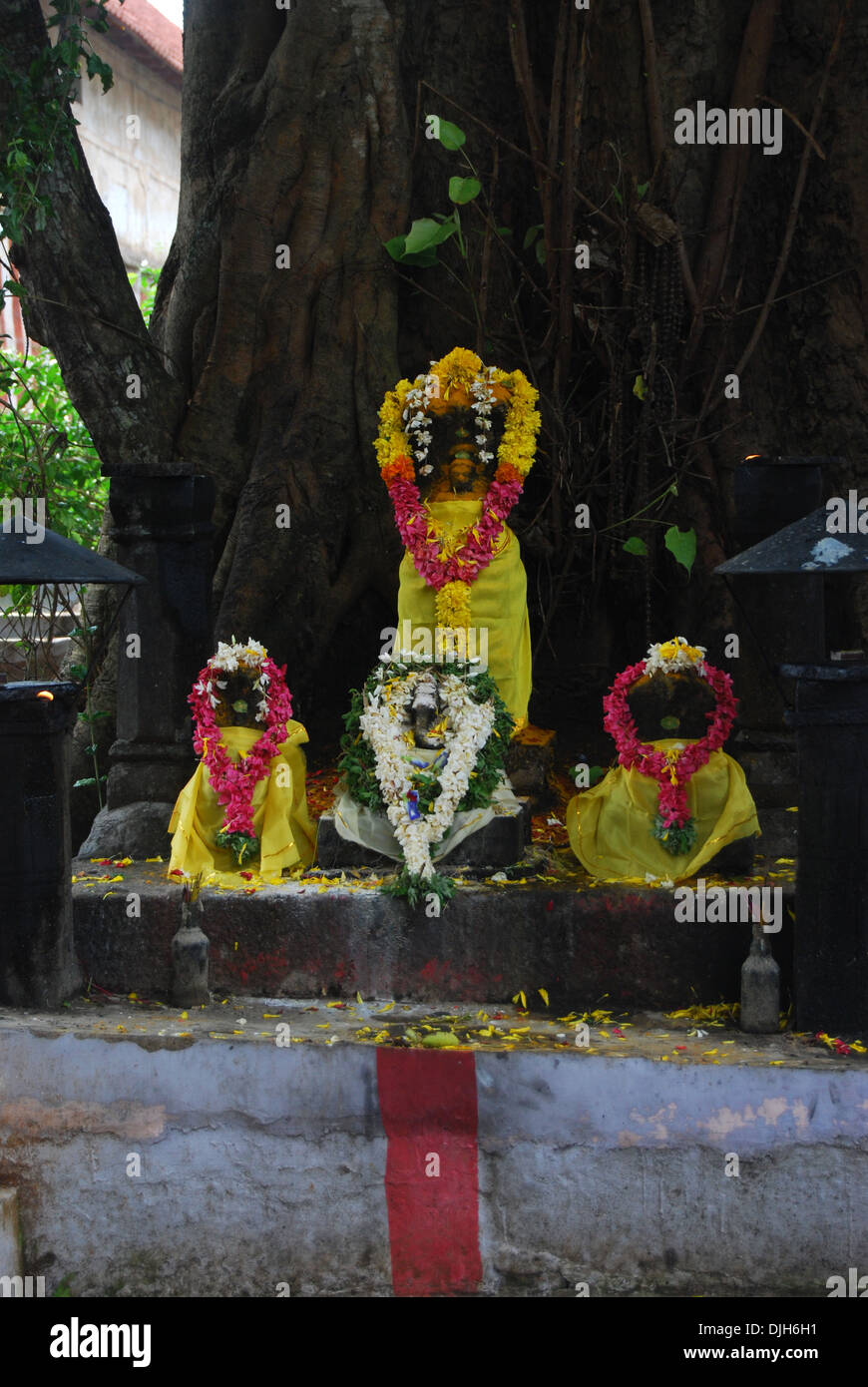 Snake temple in india hi-res stock photography and images - Alamy