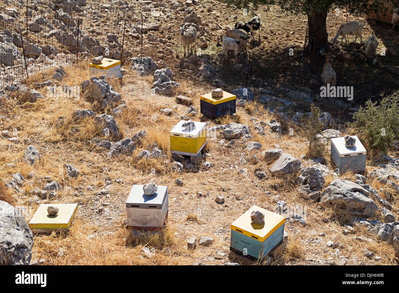 Beehives greece hi-res stock photography and images - Alamy