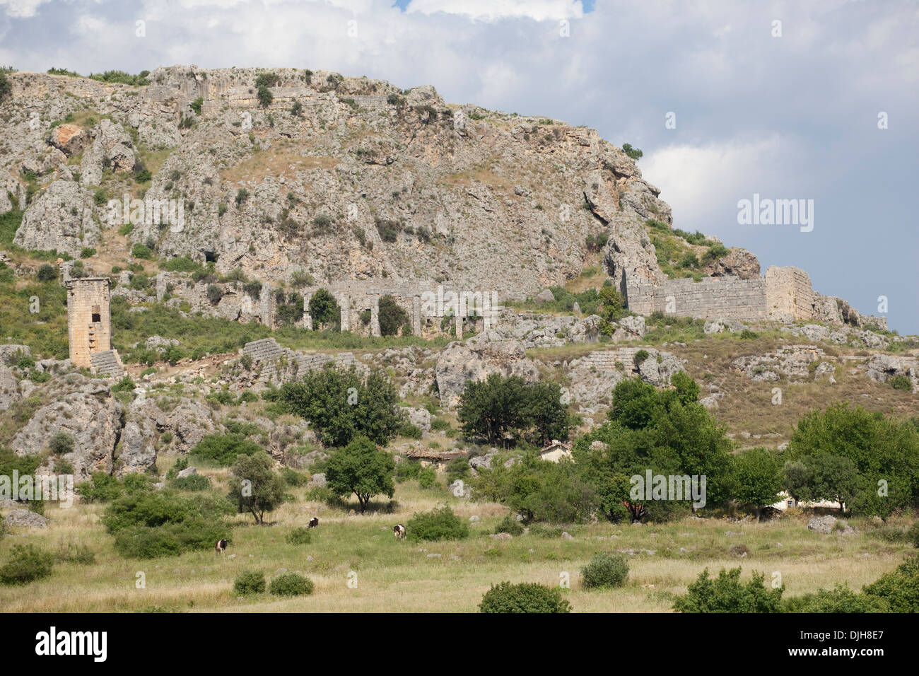 Silyon High Resolution Stock Photography and Images - Alamy