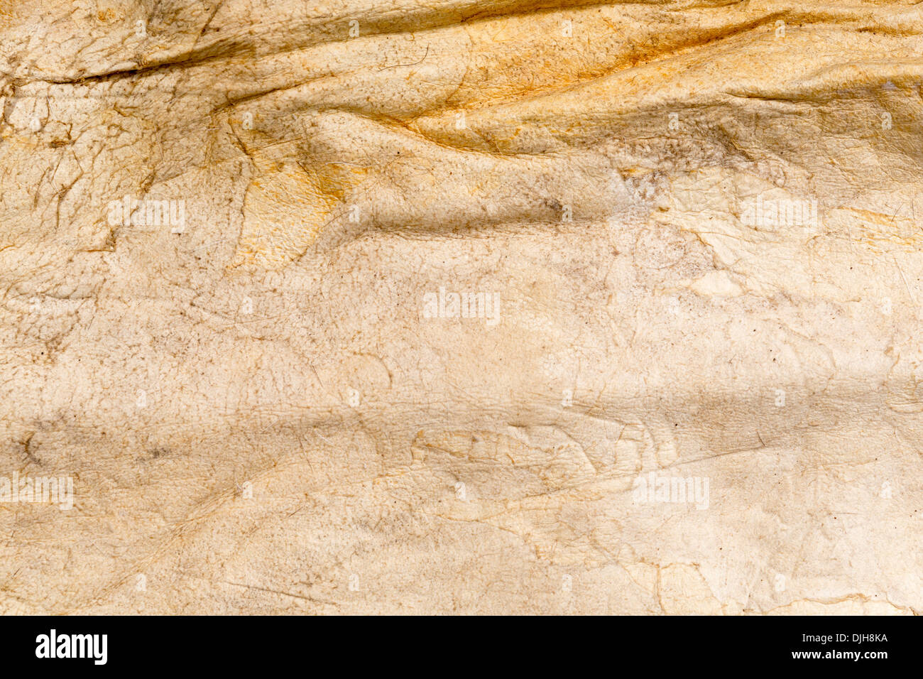 rawhide rabbit leather Stock Photo - Alamy