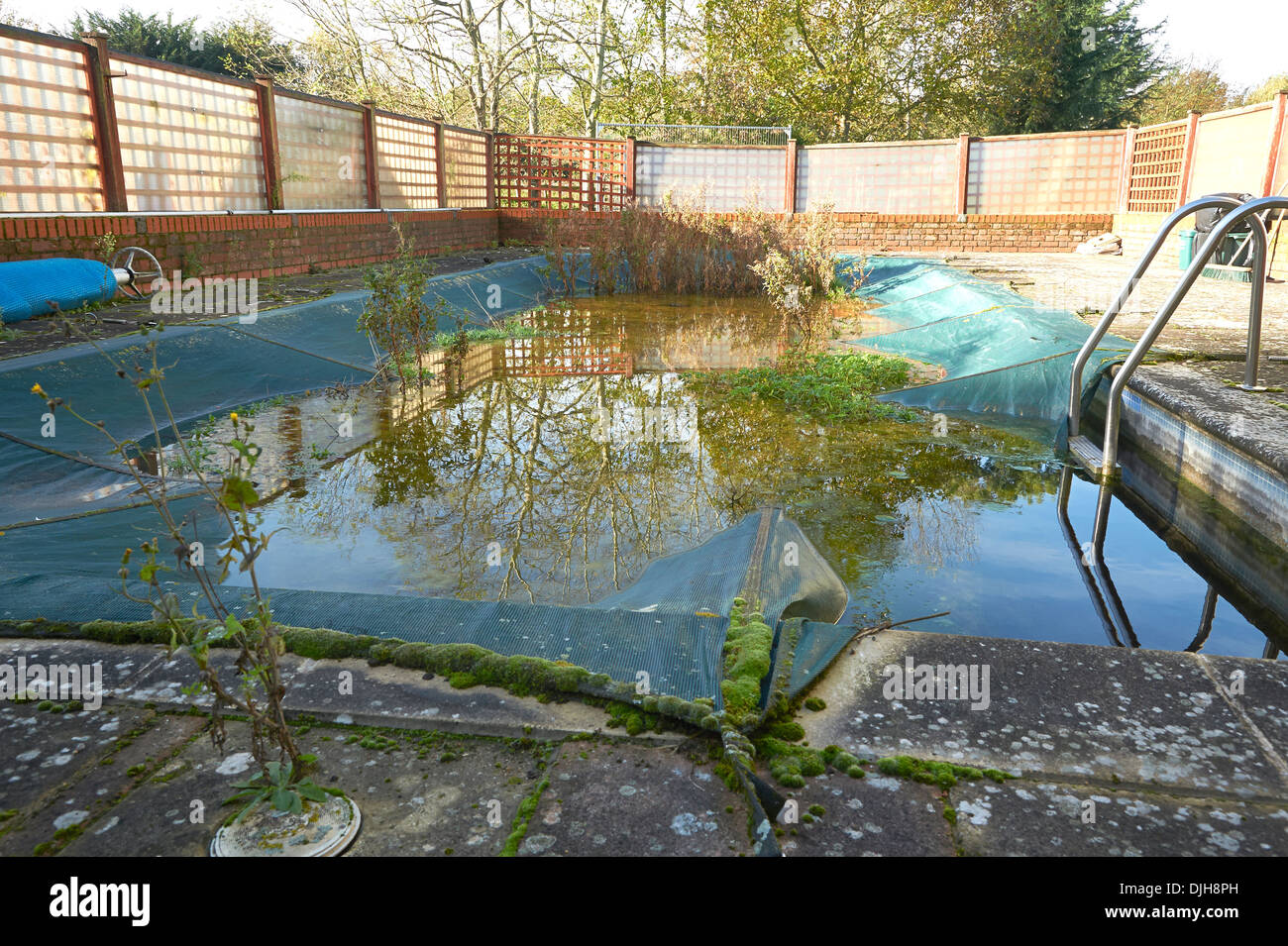 Disused swimming pool Stock Photo - Alamy