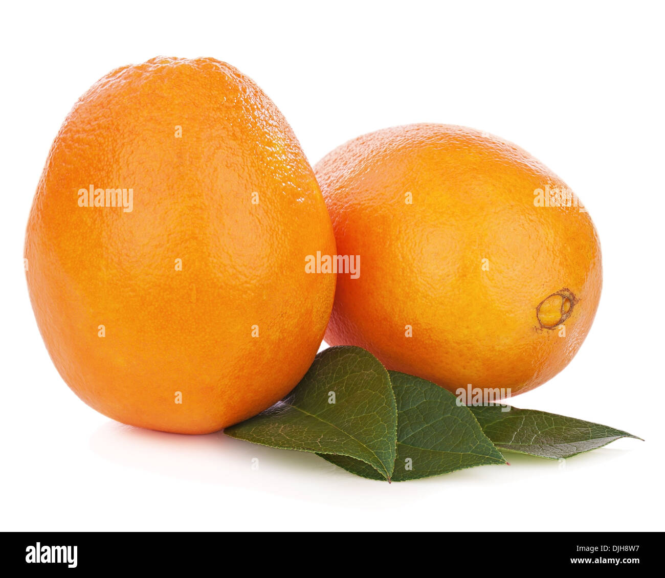 Fresh orange fruit with green leaves isolated on white background ...