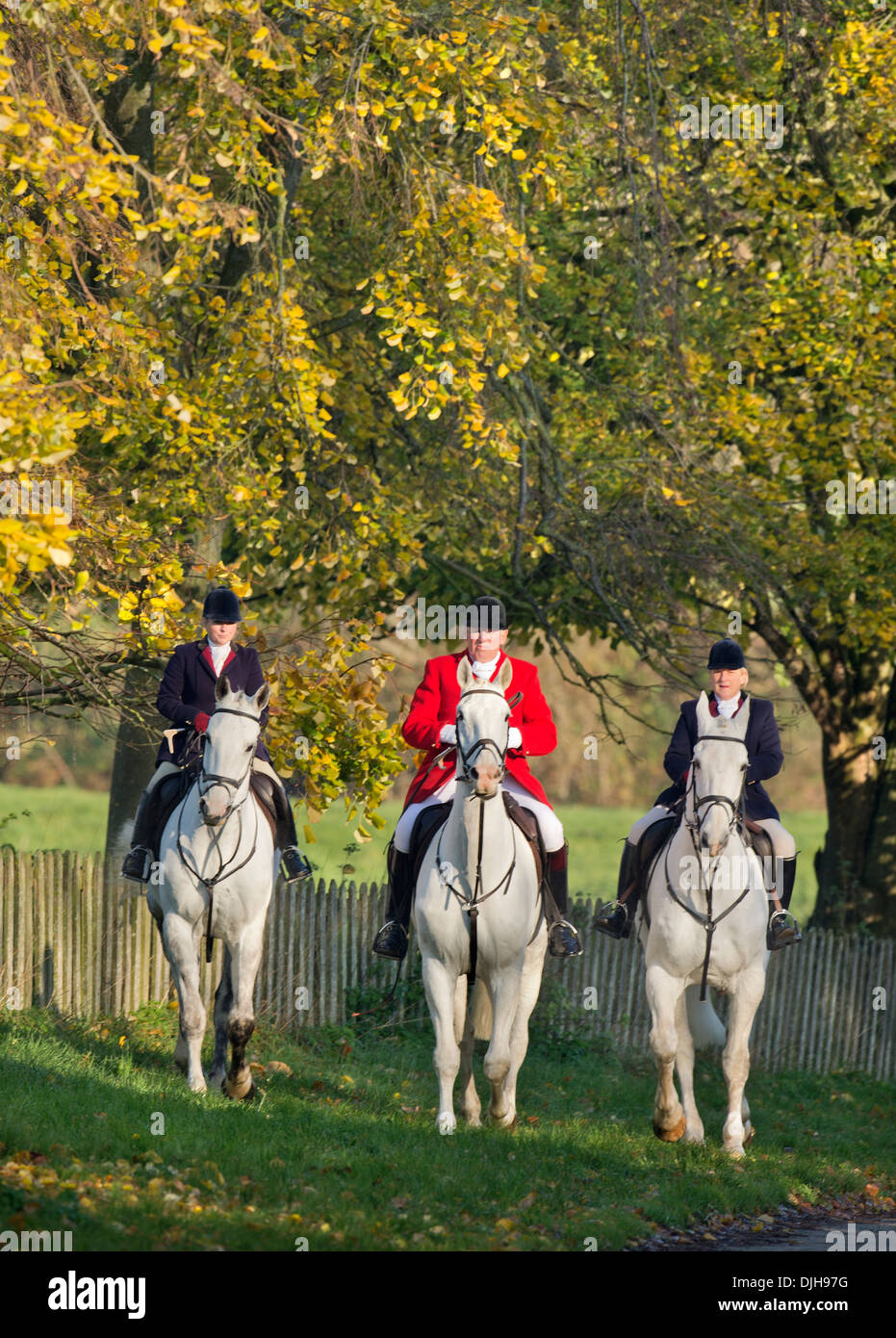 Followers of the Berkeley Hunt ride from their kennels to a November ...