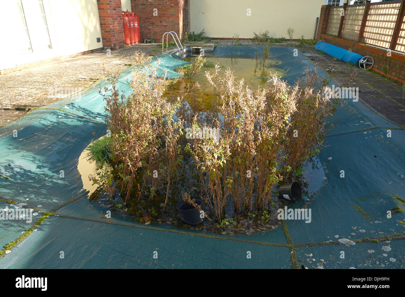 Disused swimming pool Stock Photo - Alamy
