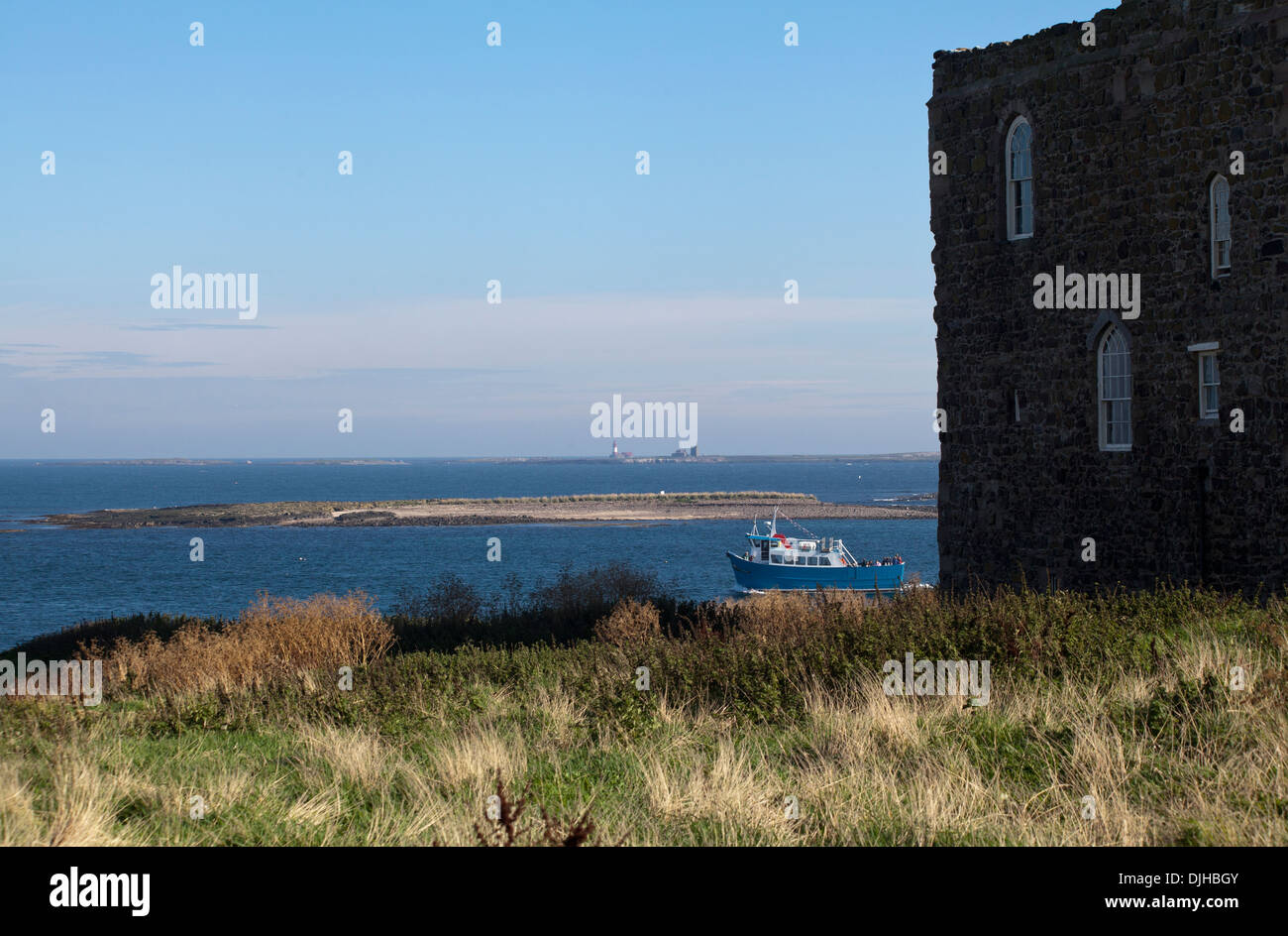 Farnes farne islands inner farne hi-res stock photography and images ...