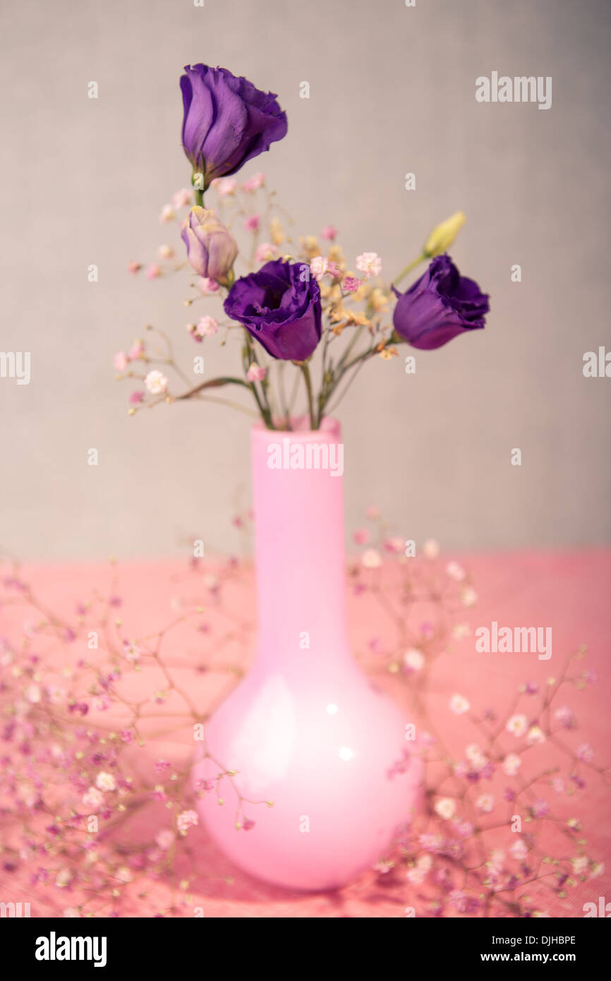 close up shot of Eustoma flowers in the vase Stock Photo - Alamy