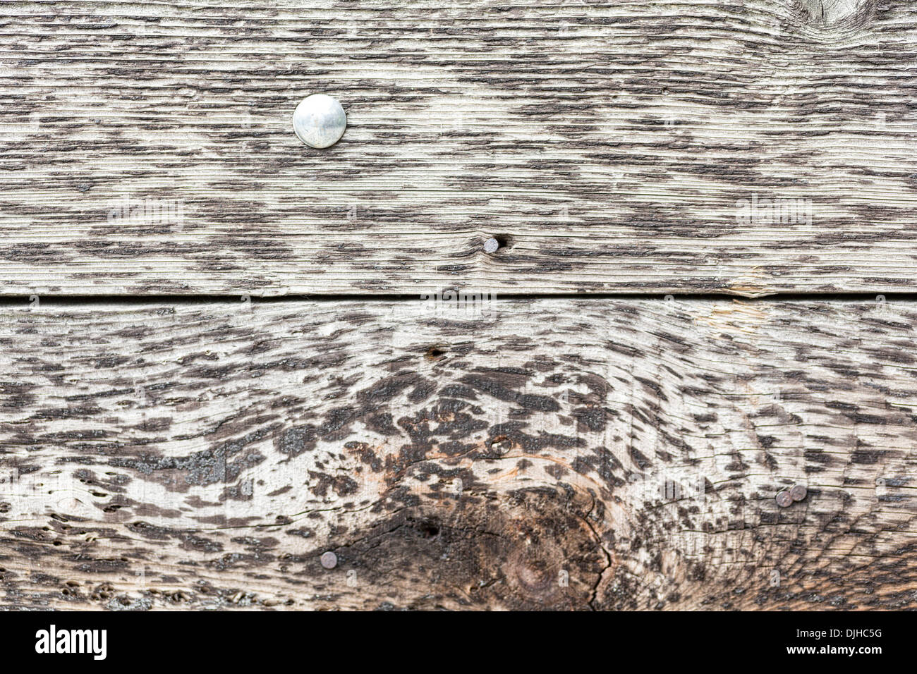 Snake skins hi-res stock photography and images - Alamy