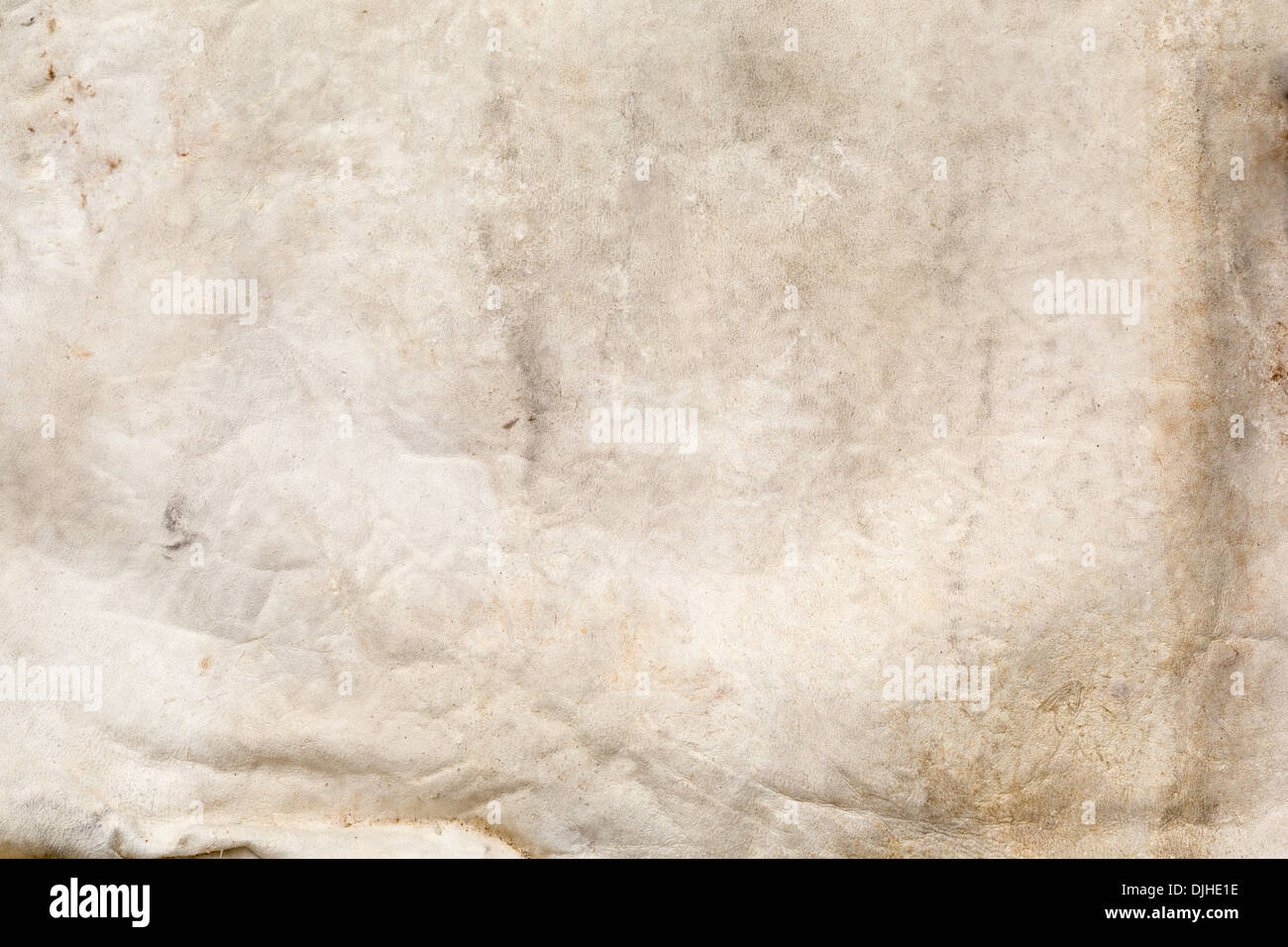 rawhide rabbit leather Stock Photo - Alamy