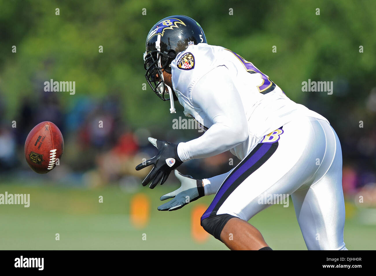 Baltimore ravens linebacker ray lewis hi-res stock photography and ...