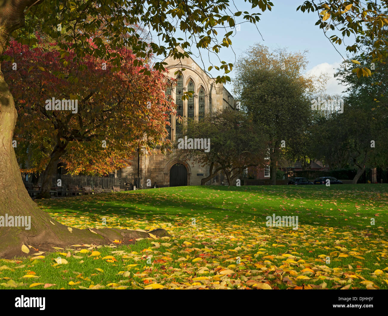 York minster garden hi-res stock photography and images - Alamy