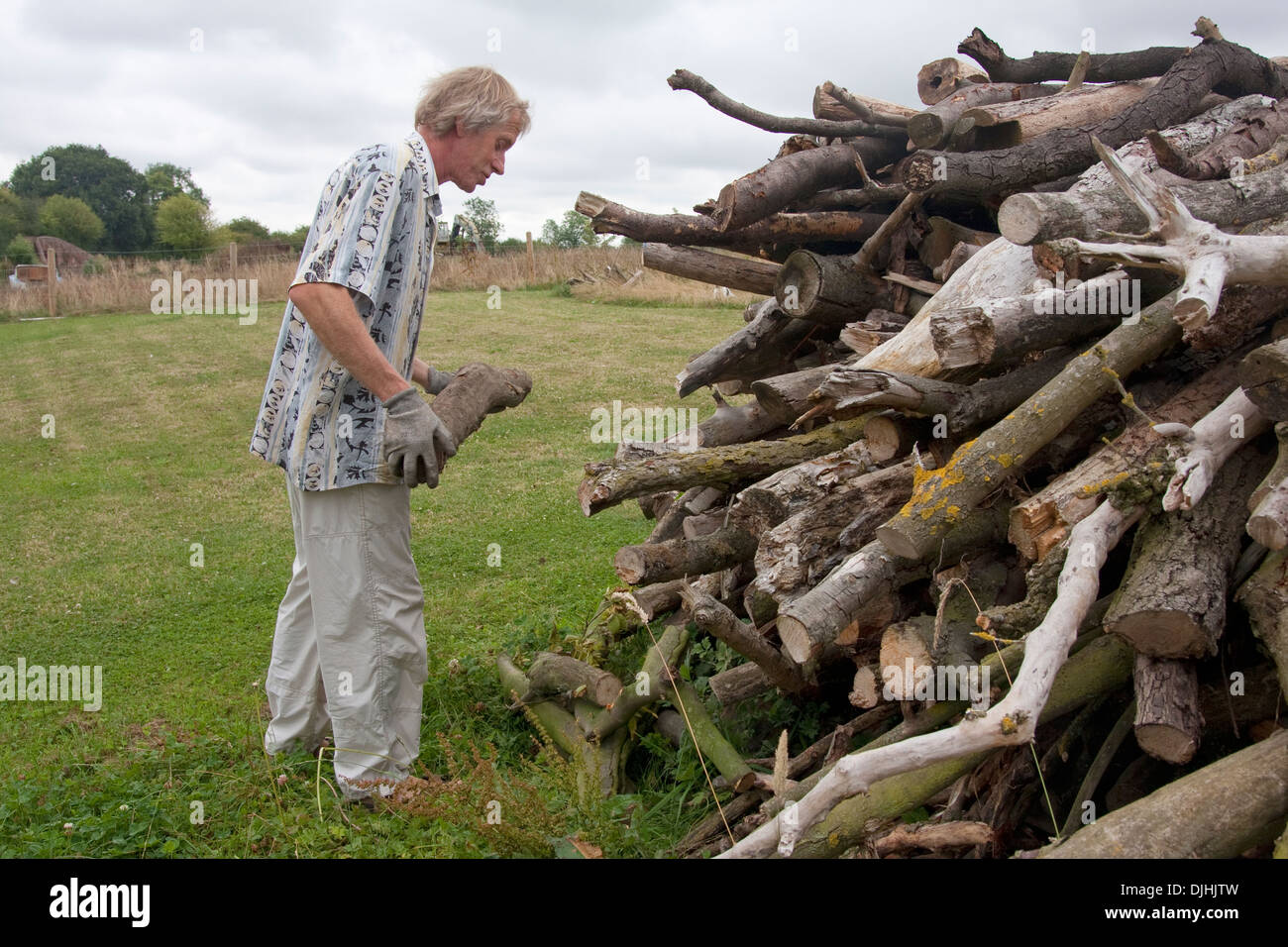man stacking firewood Stock Photo - Alamy
