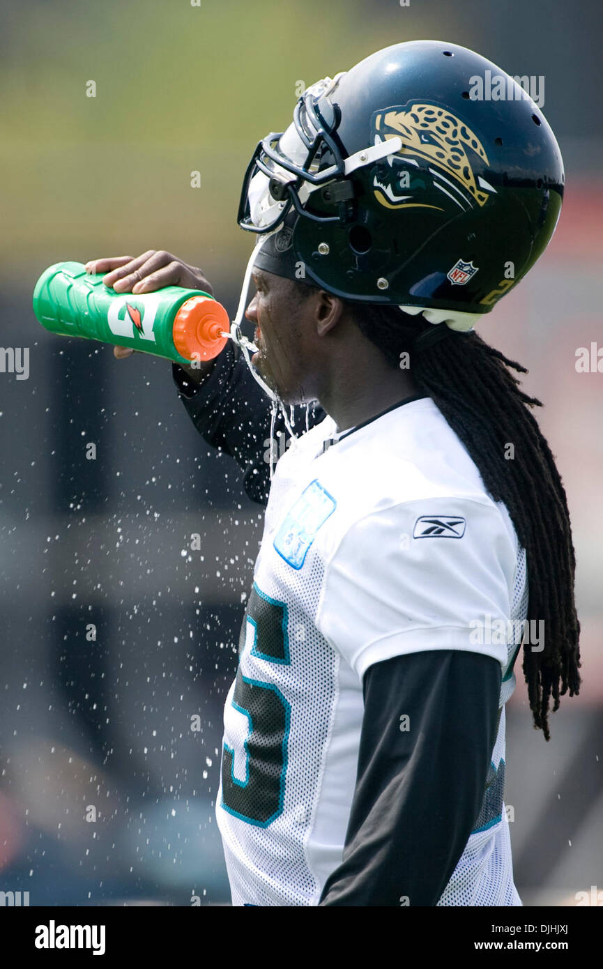 Reggie Nelson (25) of the Jacksonville Jaguars during Training Camp at ...