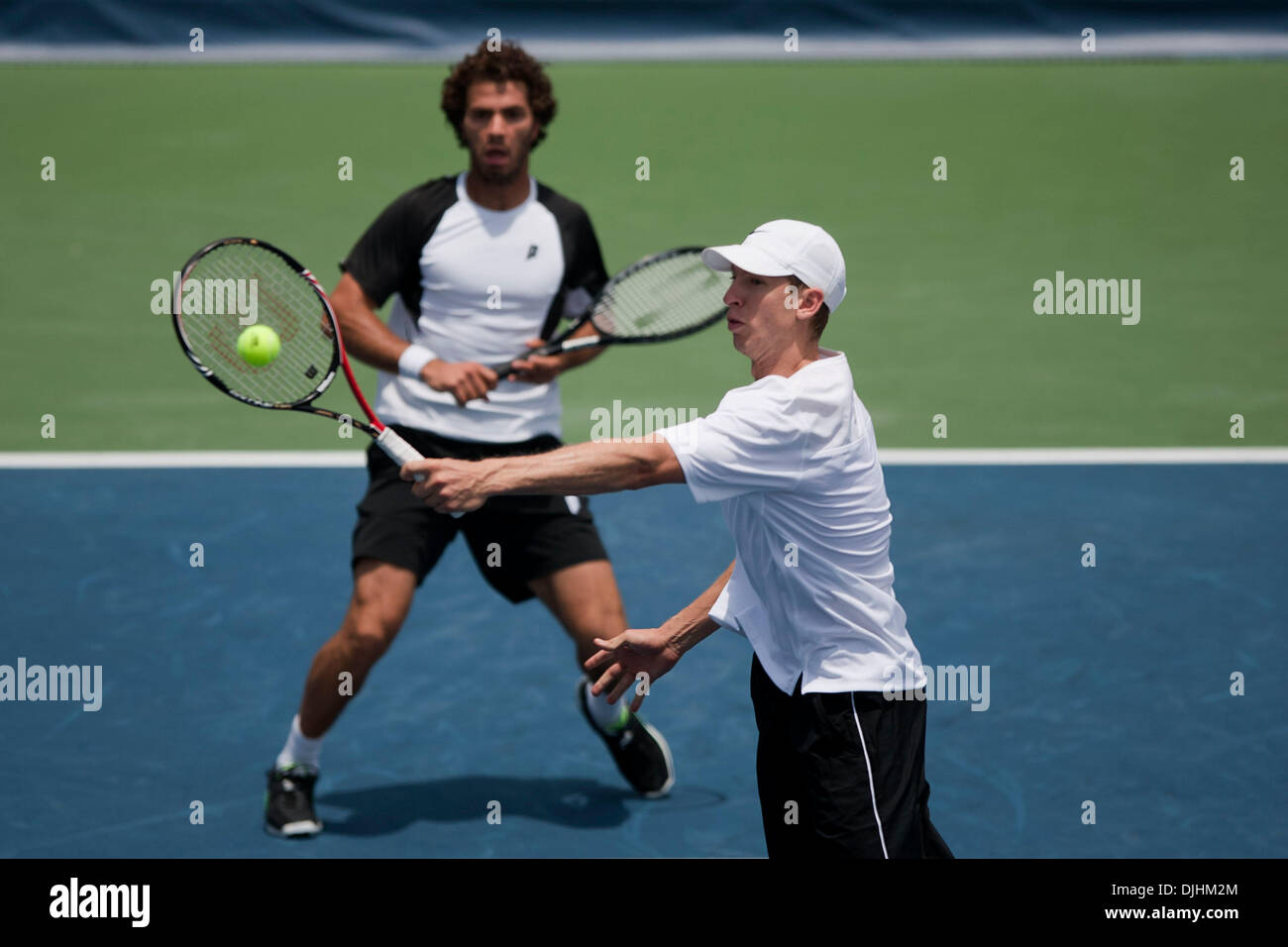 Butorac hi-res stock photography and images - Alamy