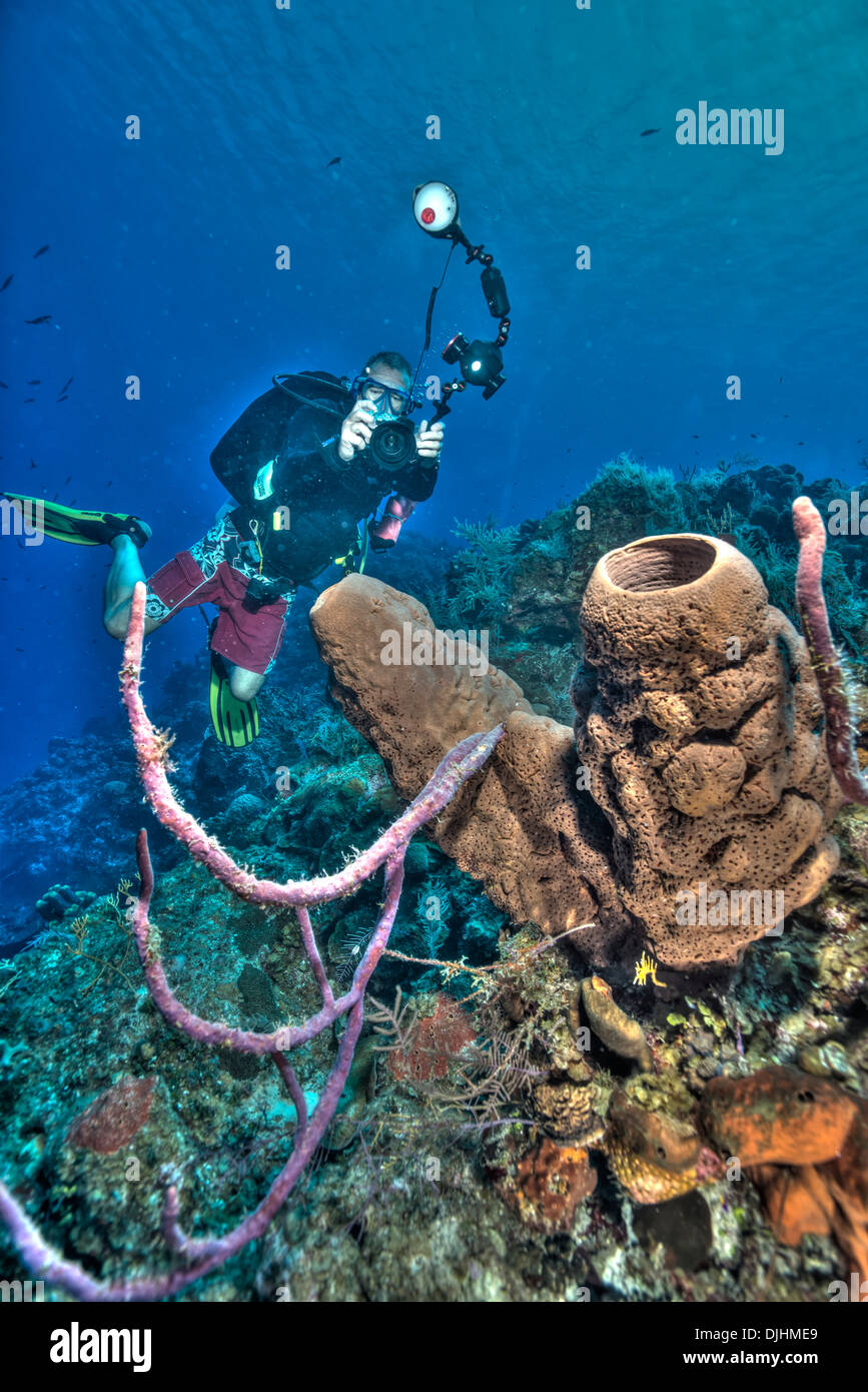 Sponge underwater diver hi-res stock photography and images - Alamy