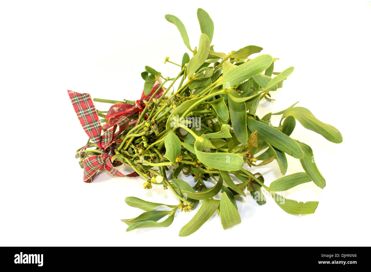 a bunch of mistletoe against white background Stock Photo - Alamy