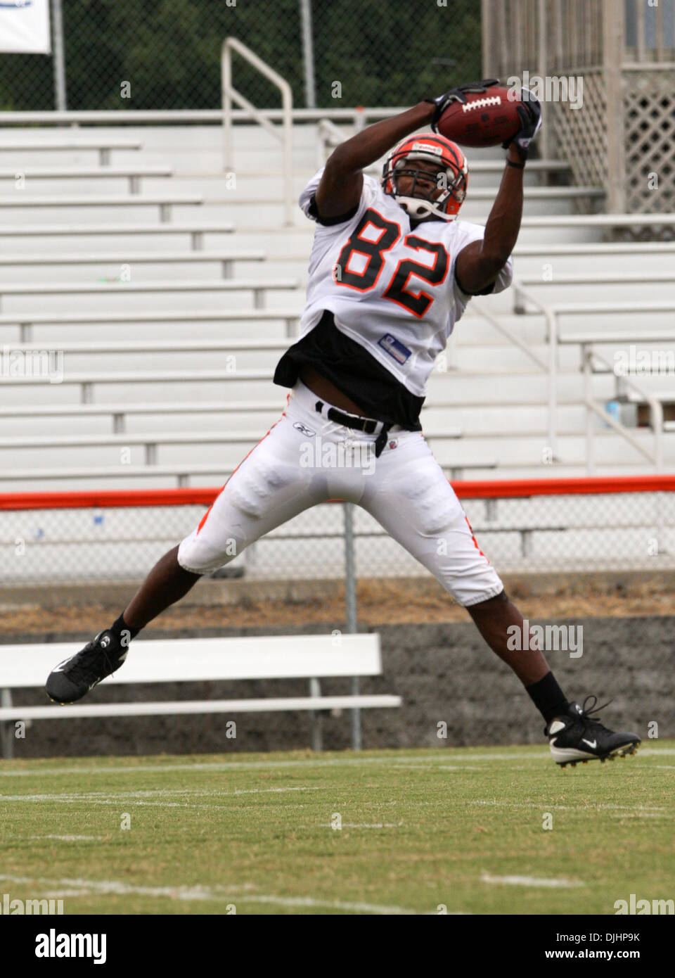 Cincinnati bengals reggie kelly 82 hi-res stock photography and images ...