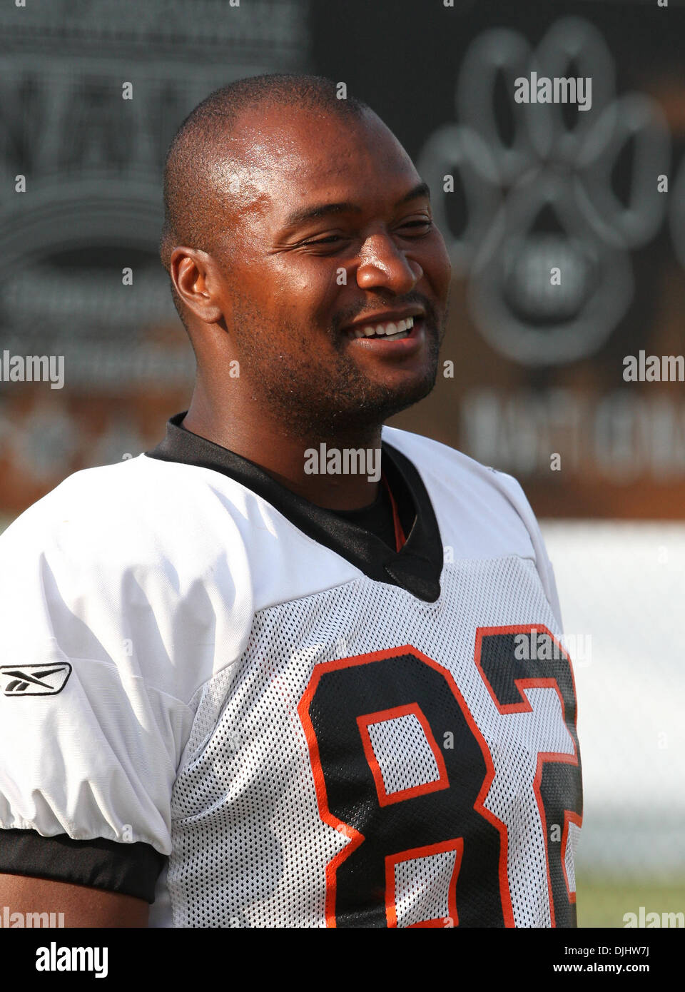 Cincinnati bengals reggie kelly 82 hi-res stock photography and images ...