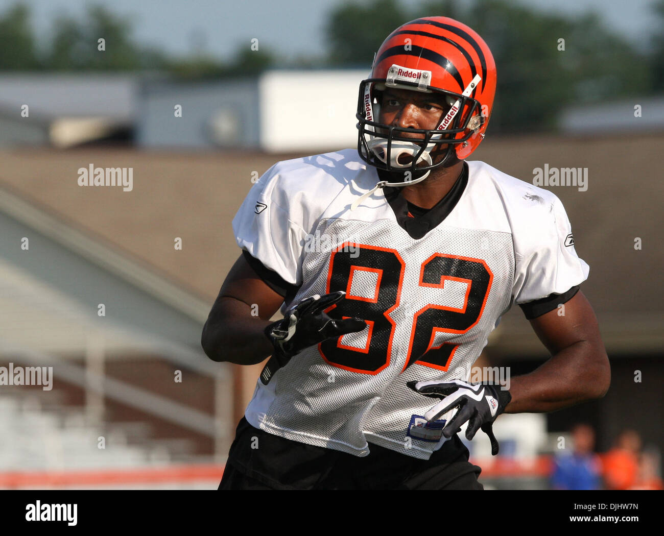 Cincinnati bengals reggie kelly 82 hi-res stock photography and images ...
