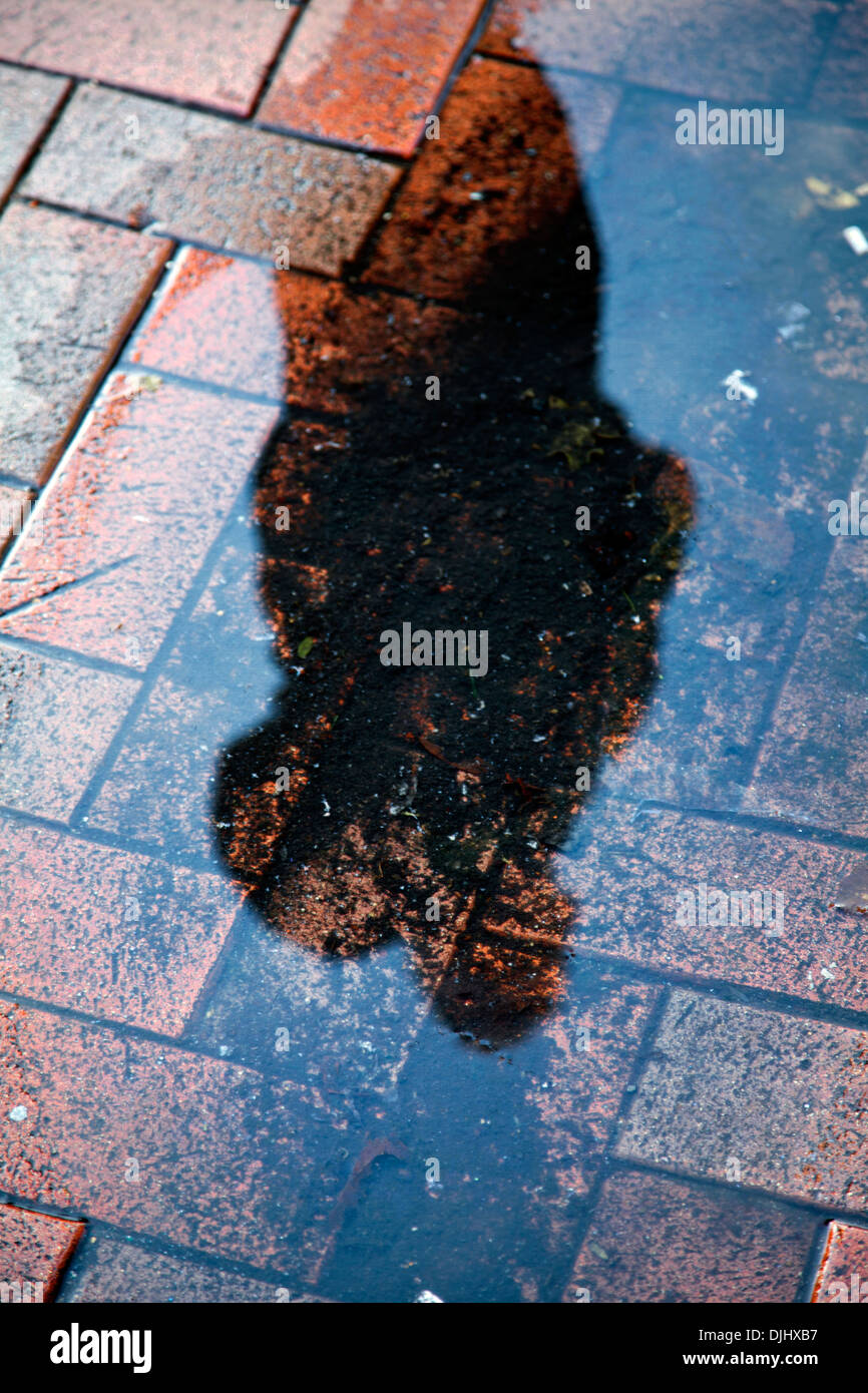 Large dirty puddle hi-res stock photography and images - Alamy