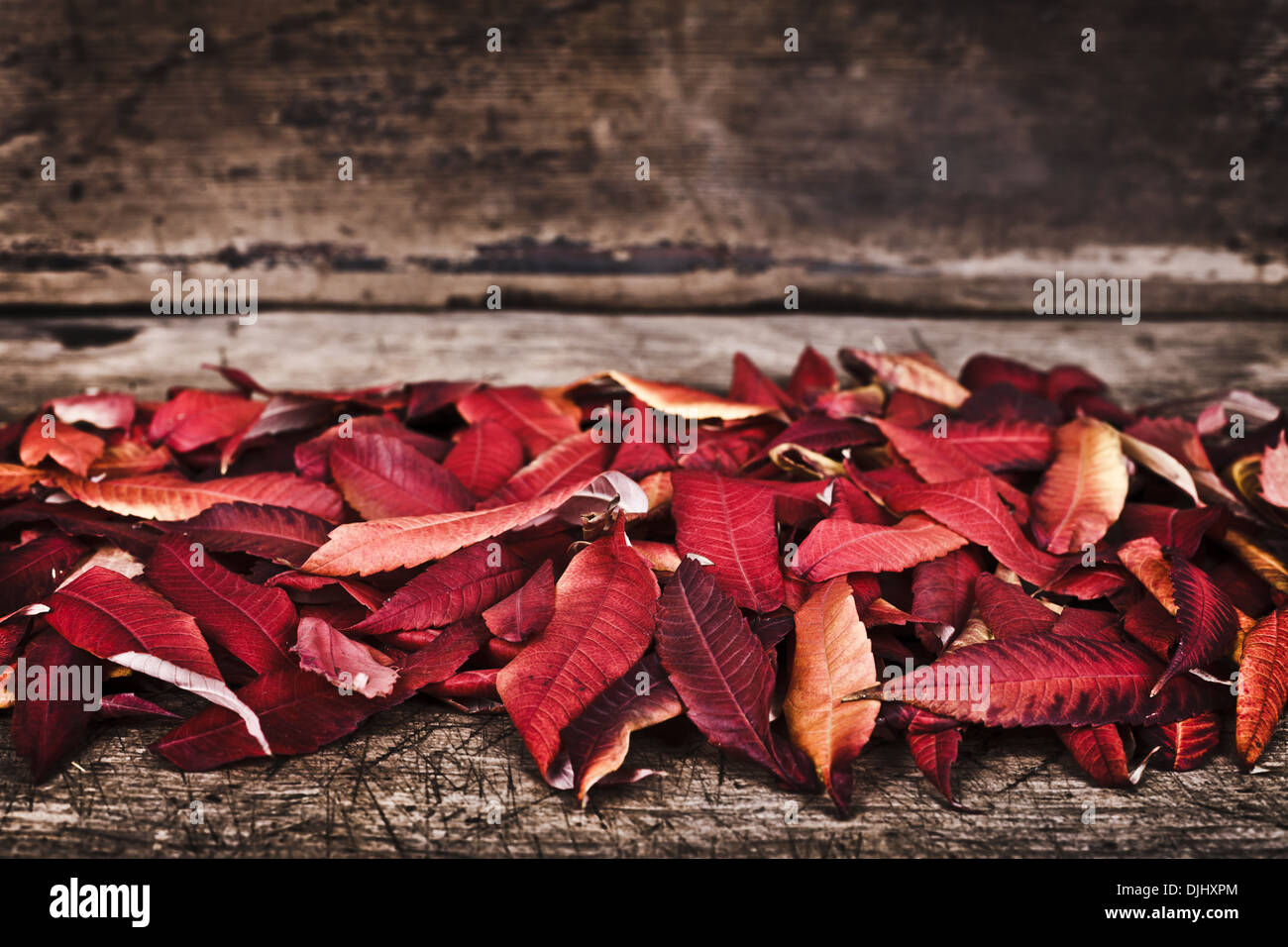 Red autumn leaves on rustic wood background Stock Photo - Alamy