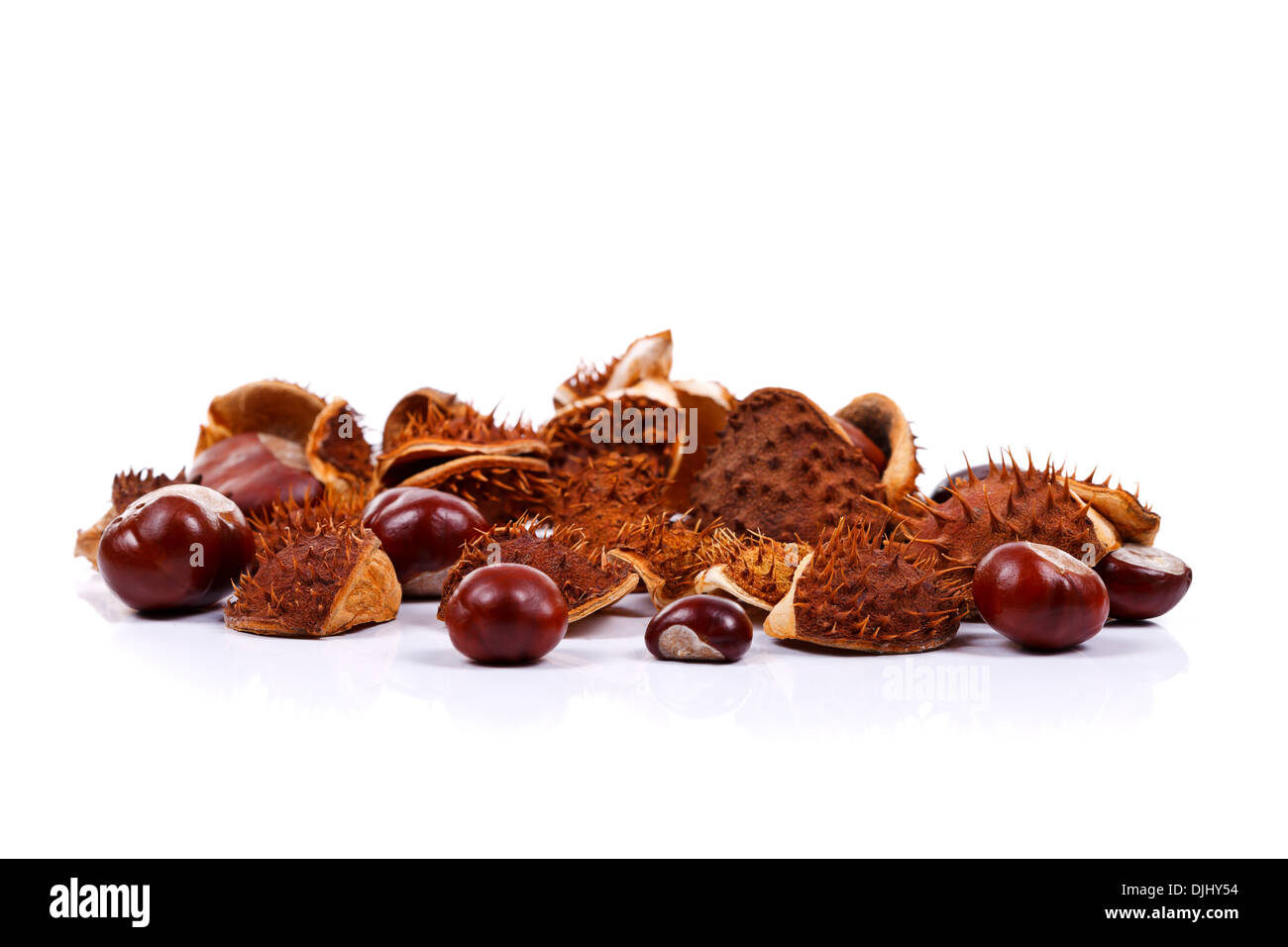 Chestnuts with spiky shell on white background Stock Photo - Alamy