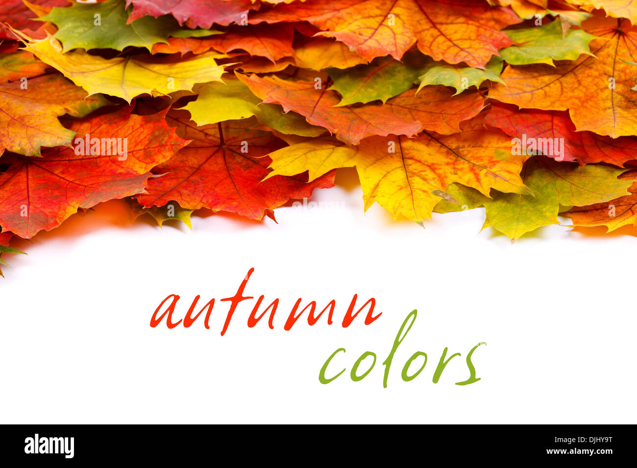 Colorful autumn leaves border with place for your text Stock Photo - Alamy