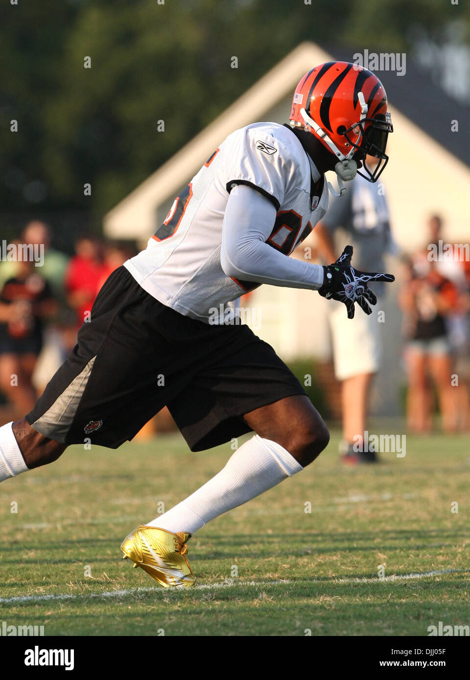 August 04, 2010: Cincinnati Bengals wide receiver Chad Ochocinco (85 ...