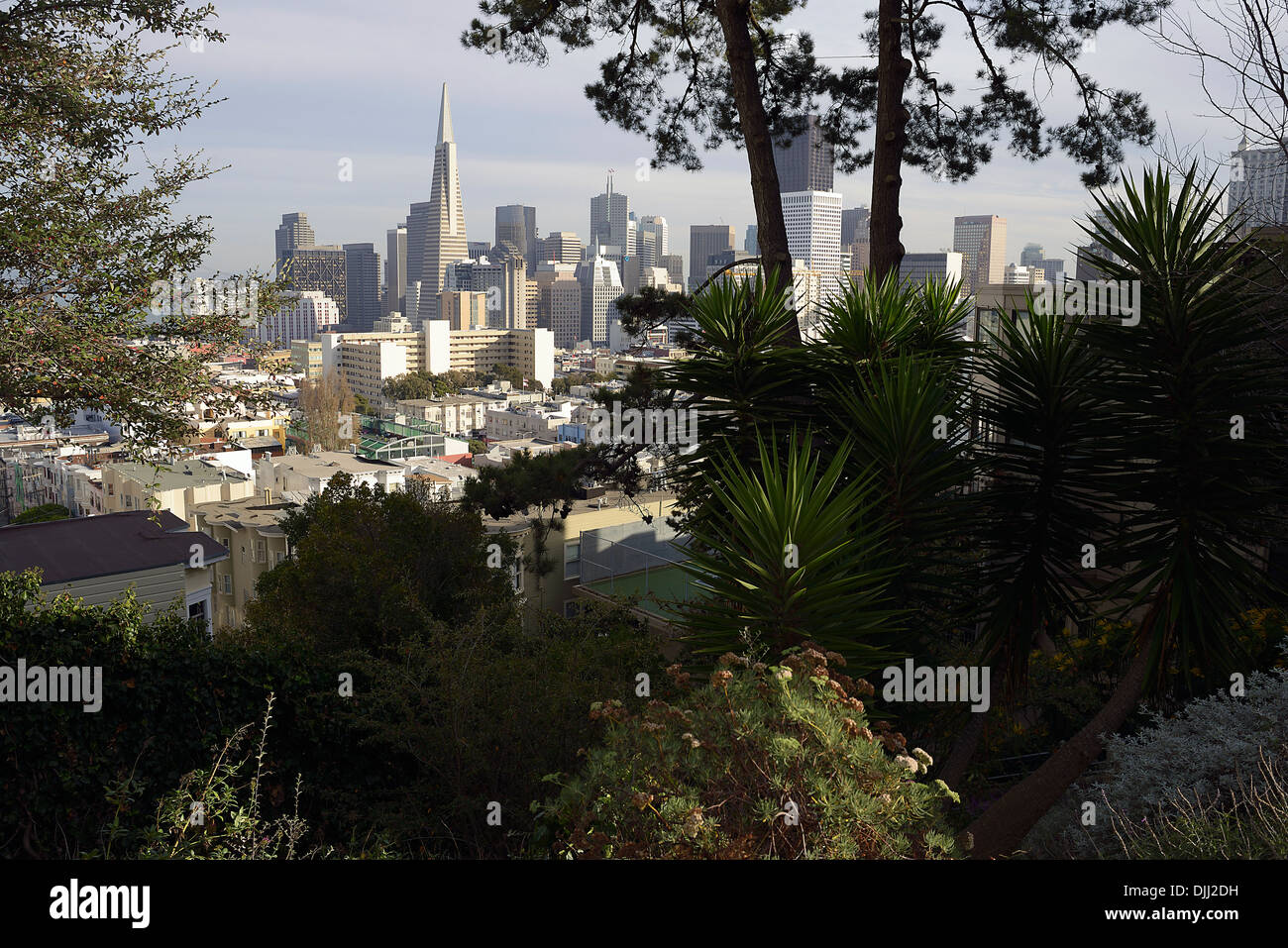 san francisco downtown view russian hill Stock Photo - Alamy
