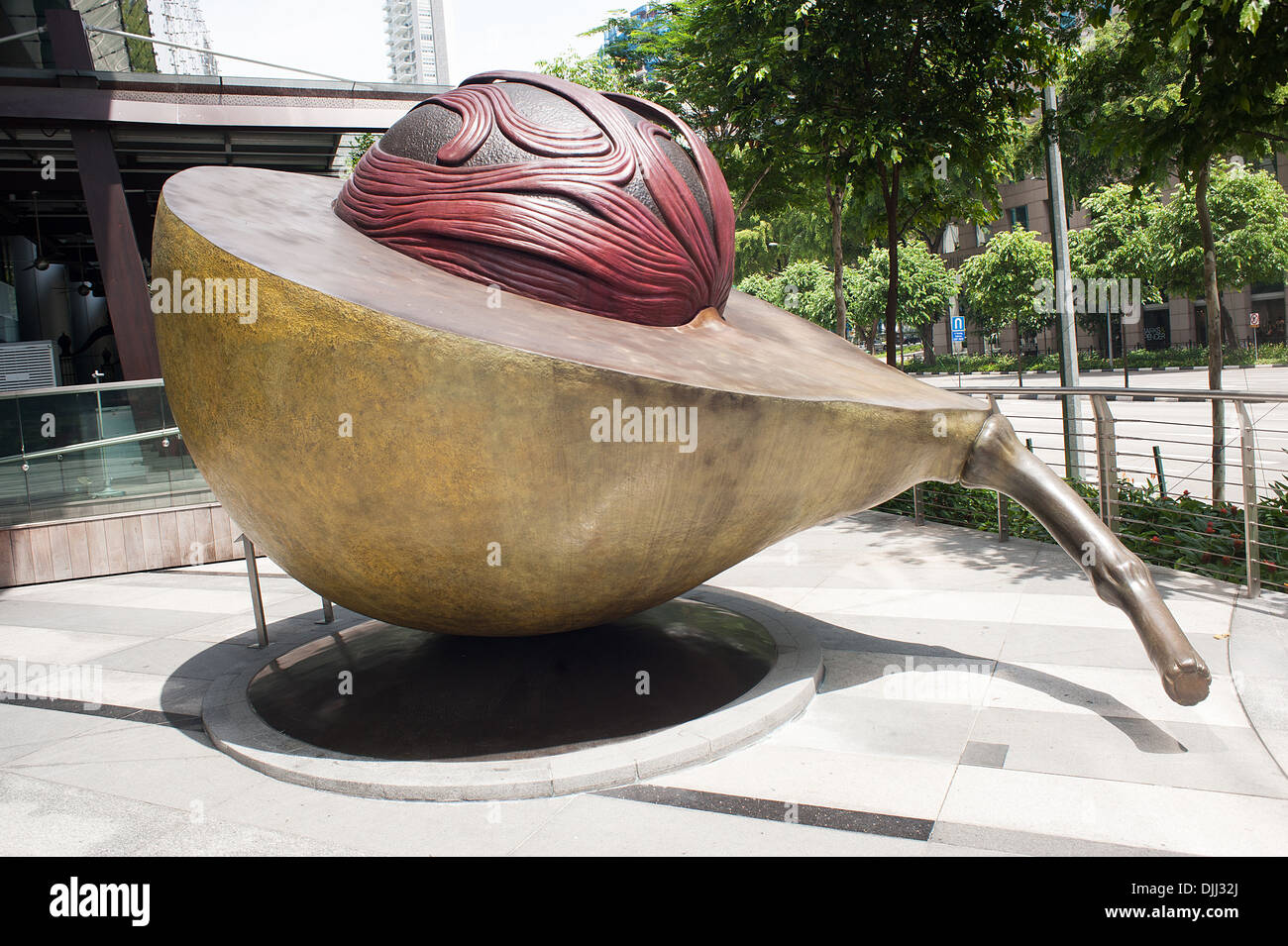 Nutmeg & Mace Stock Photo - Alamy