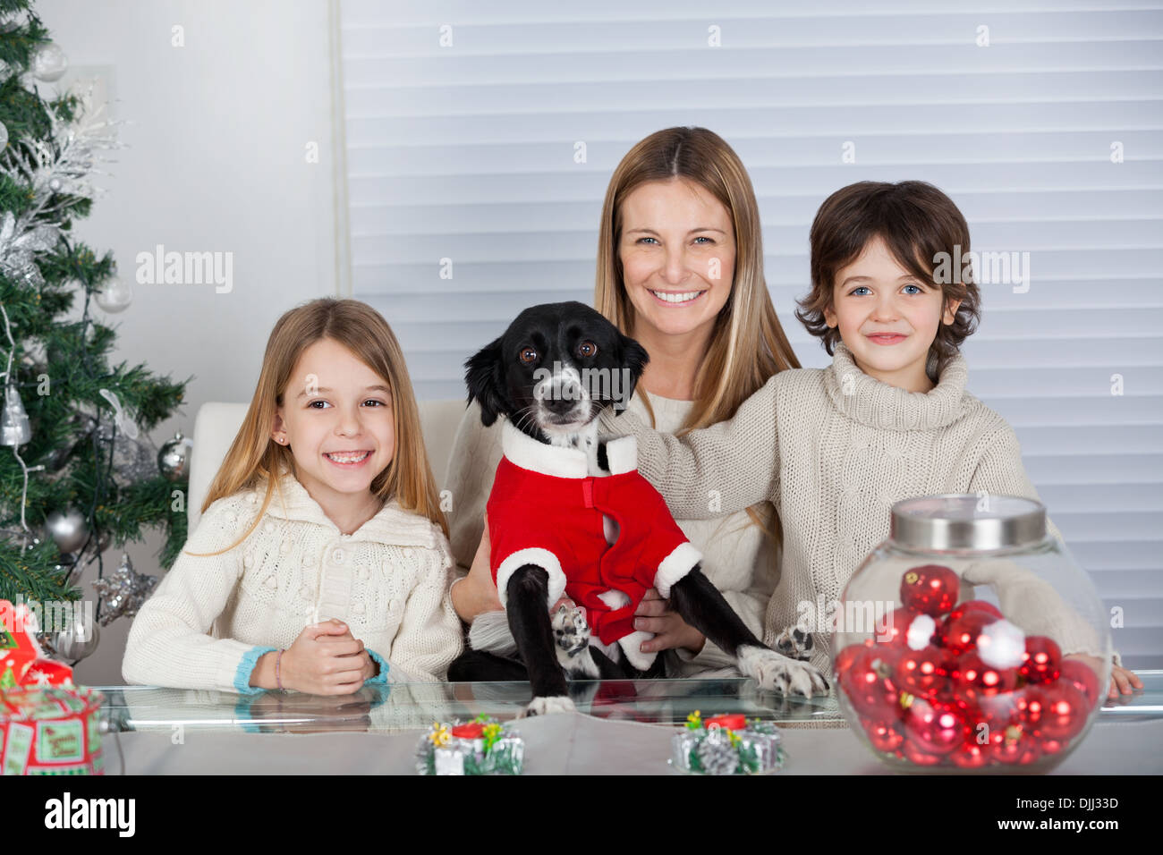 Happy family during christmas hi-res stock photography and images - Alamy