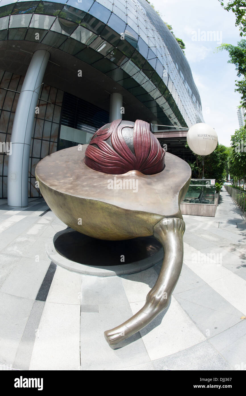 Nutmeg & Mace Stock Photo - Alamy
