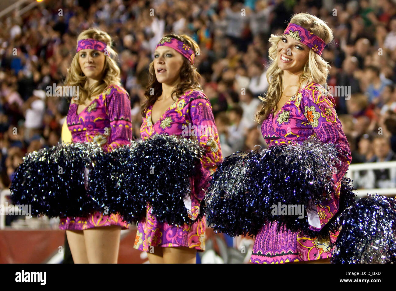 Cfl Cheerleaders High Resolution Stock Photography and Images - Alamy