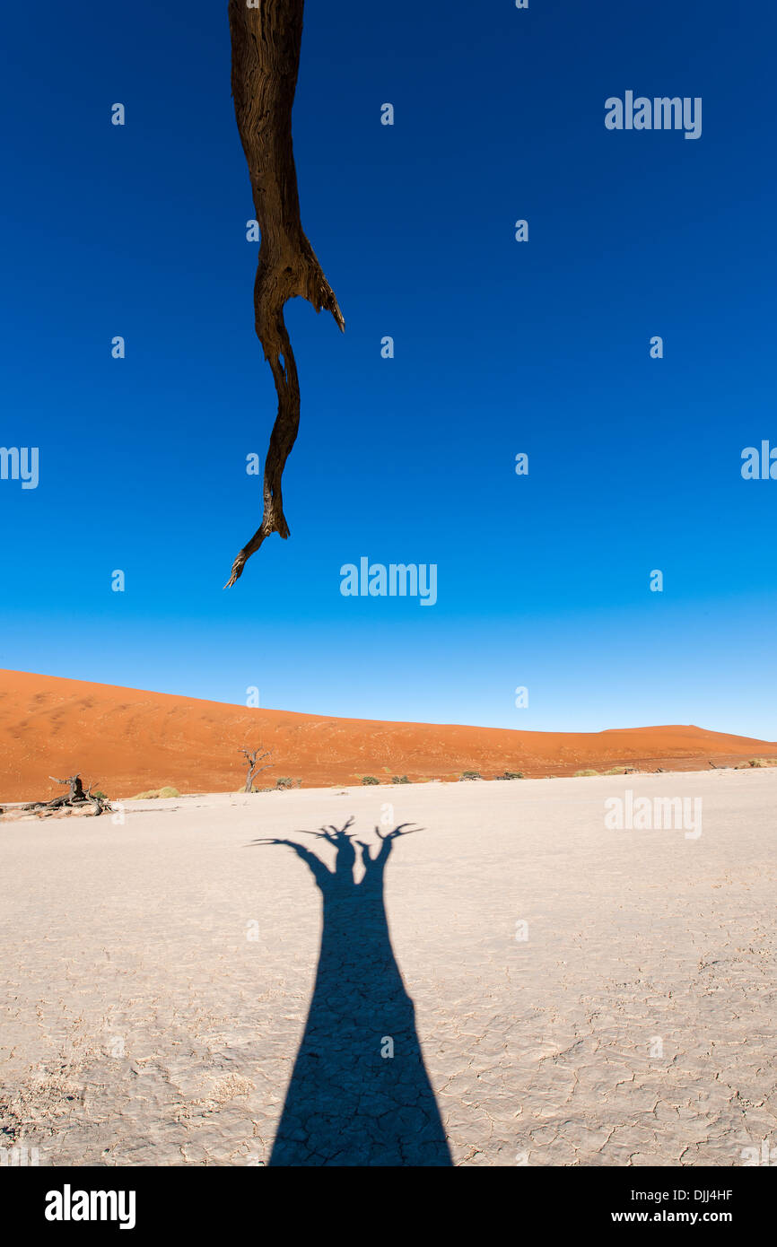 Dead tree - Death vlei, namib desert - Namibia - Southern Africa Stock ...
