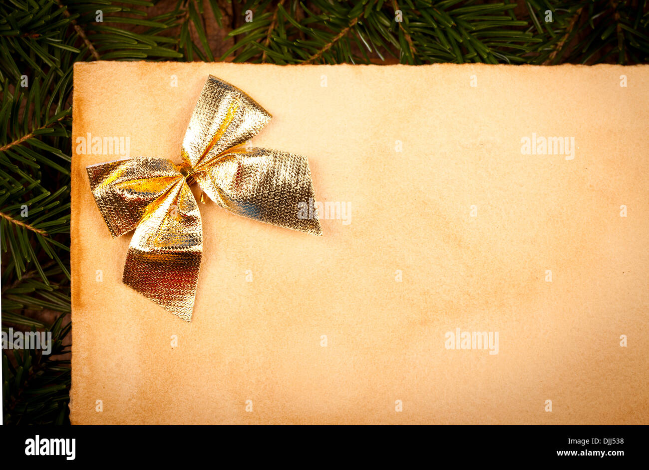 Little golden ribbon on the corner of an old style paper, branches at ...