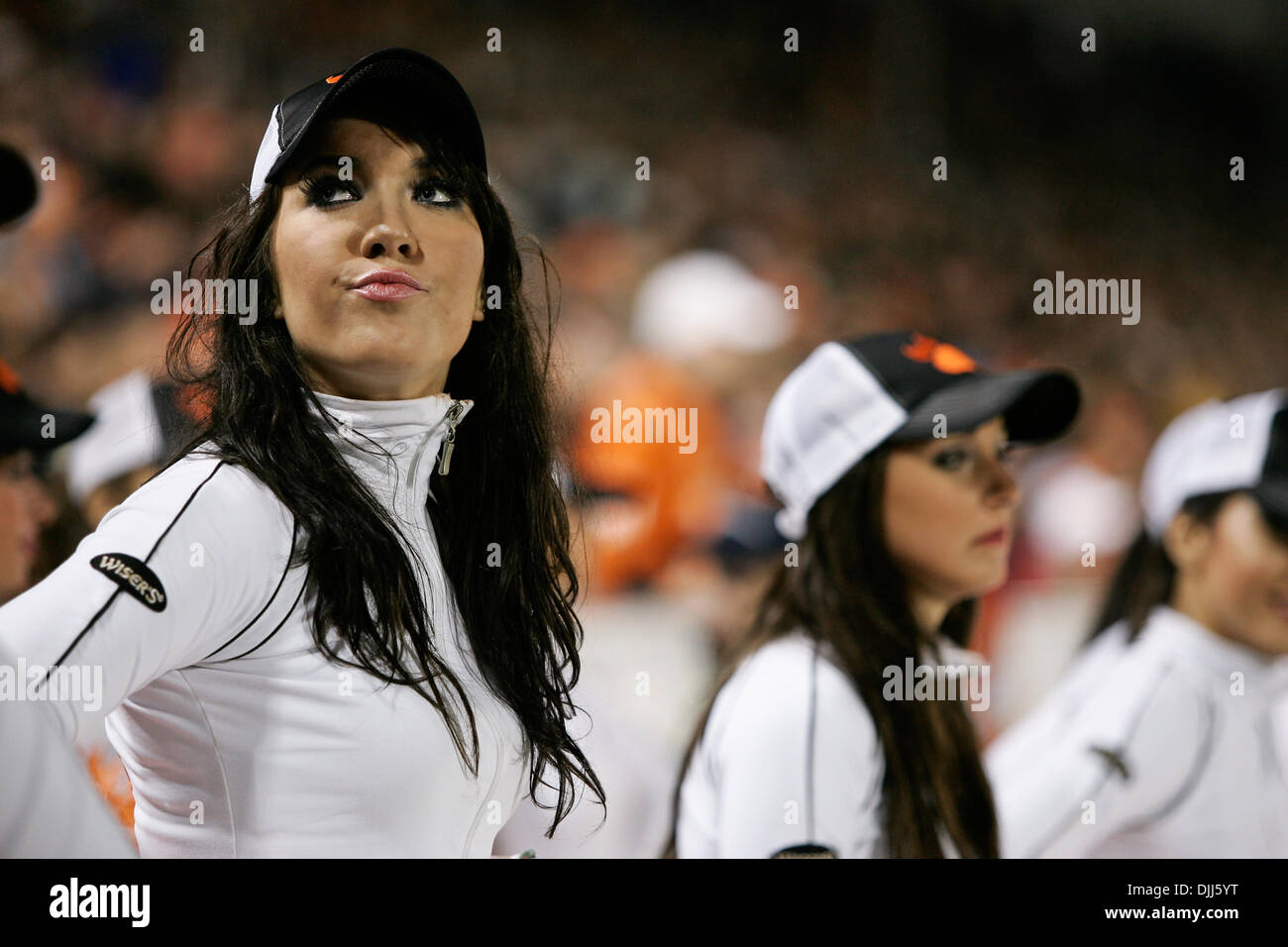 Felions hi-res stock photography and images - Alamy