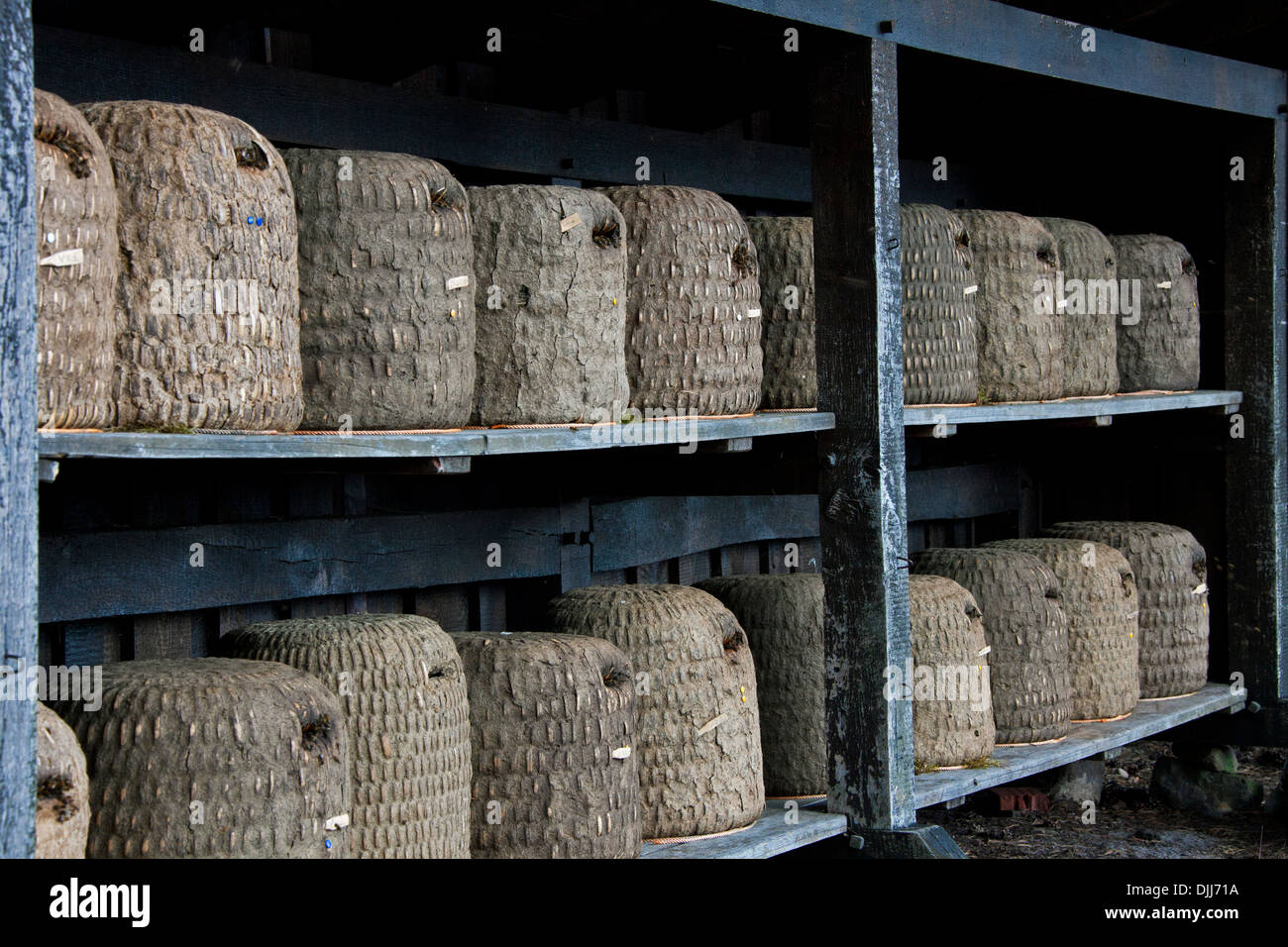 Bee hives / beehives / skeps for honey bees in rustic shelter of apiary ...