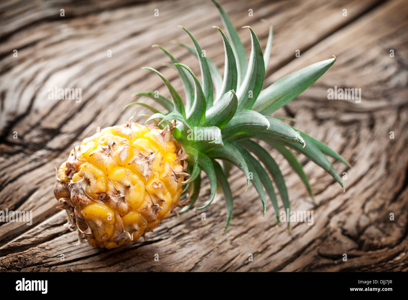 White pineapple hi-res stock photography and images - Alamy
