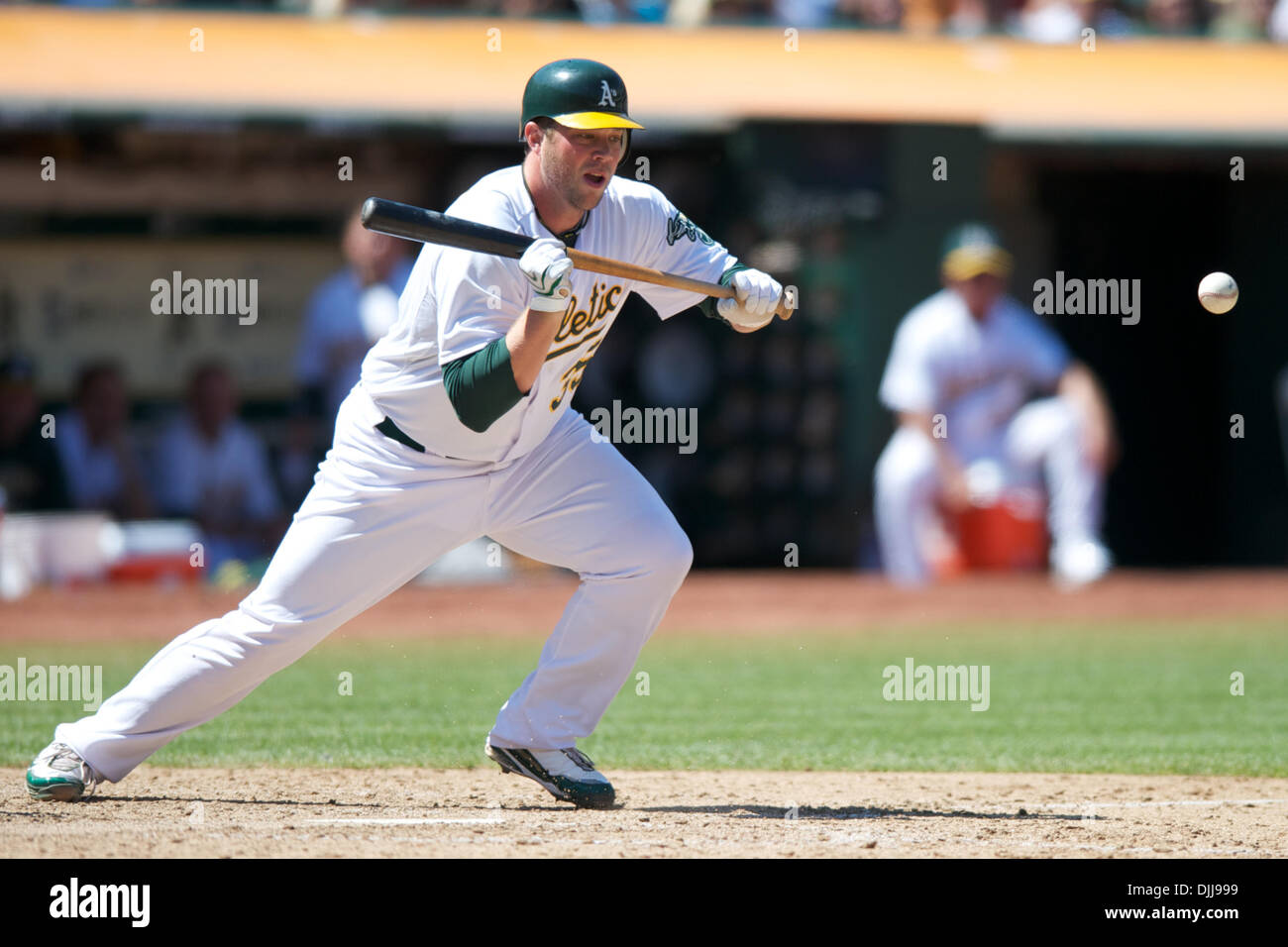 Landon Powell High Resolution Stock Photography and Images - Alamy
