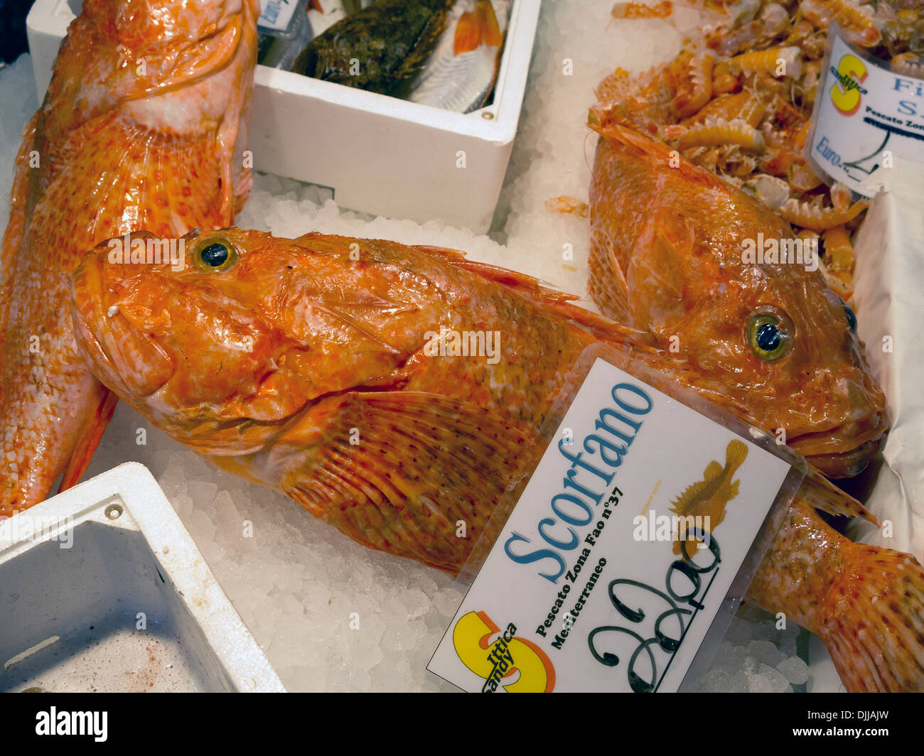 Fresh whole fish on bed hi-res stock photography and images - Alamy