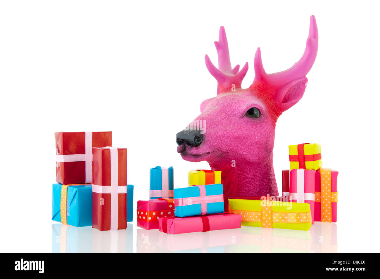 Pink deer with many Christmas presents isolated over white background ...