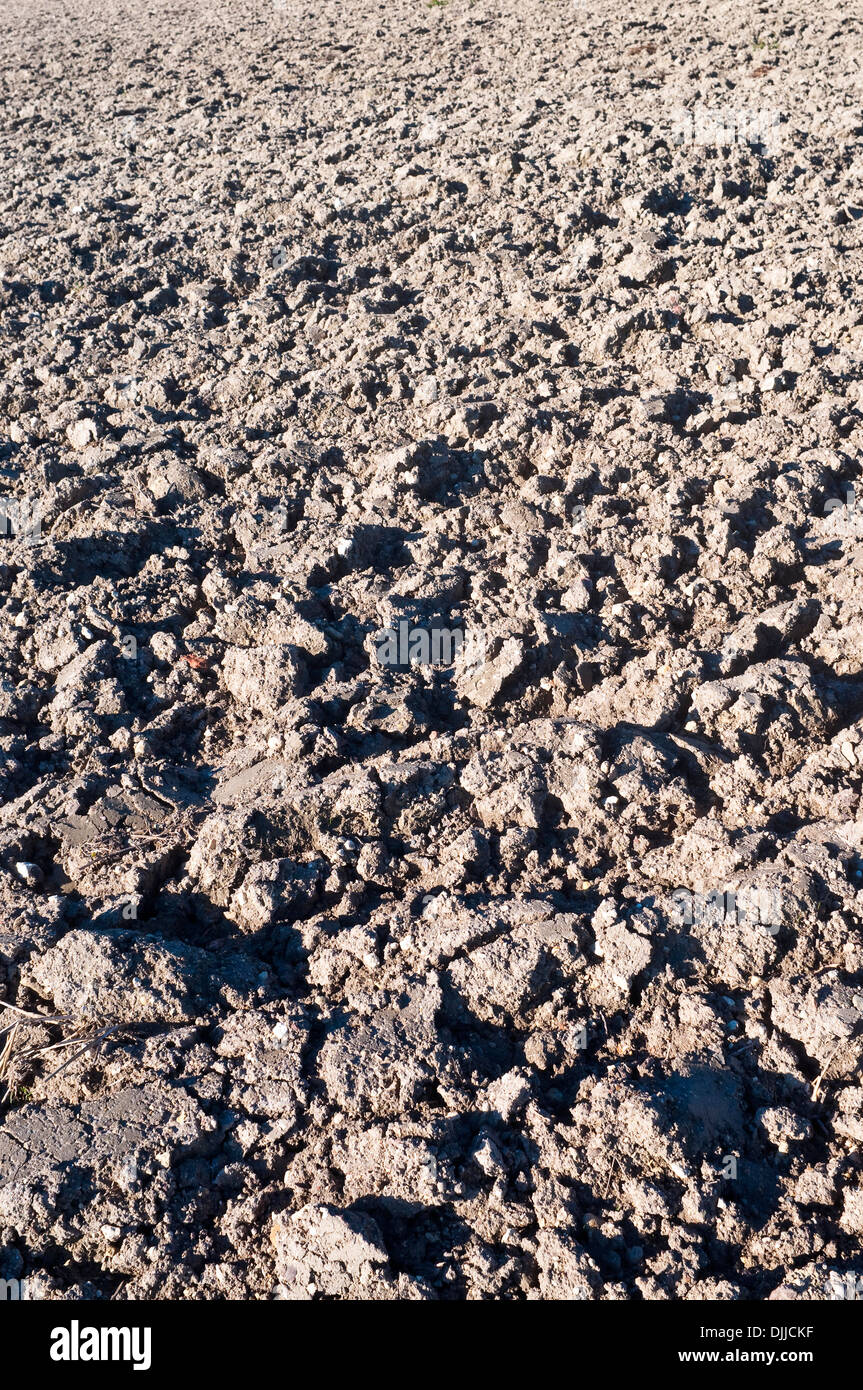 Prepared soil surface of farmland - France Stock Photo - Alamy