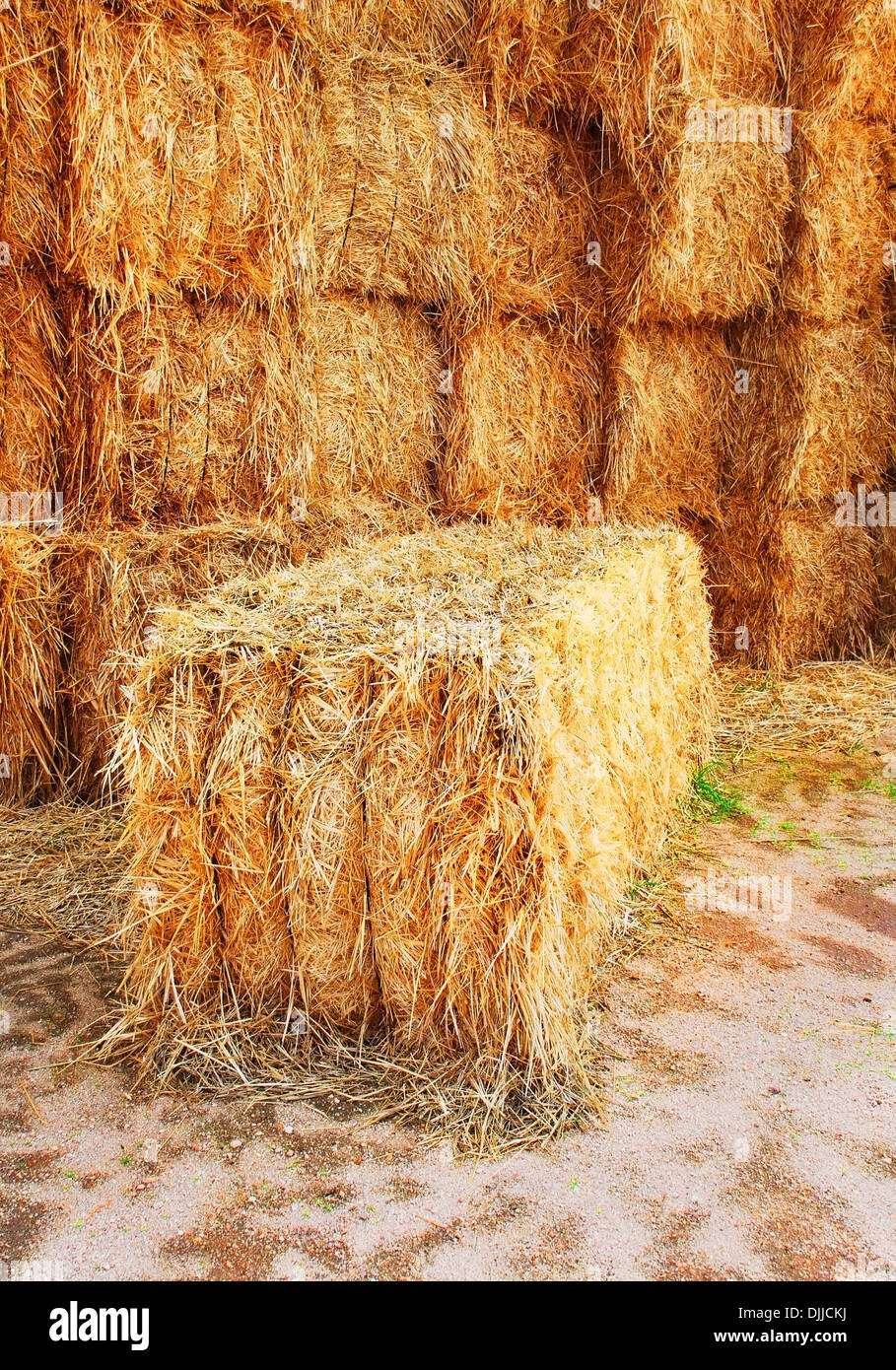 Golden straw bales at sunset Stock Photo - Alamy