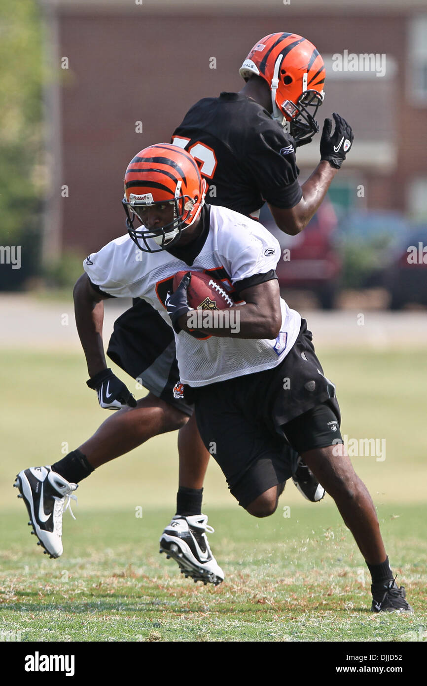 Reggie camp hi-res stock photography and images - Alamy