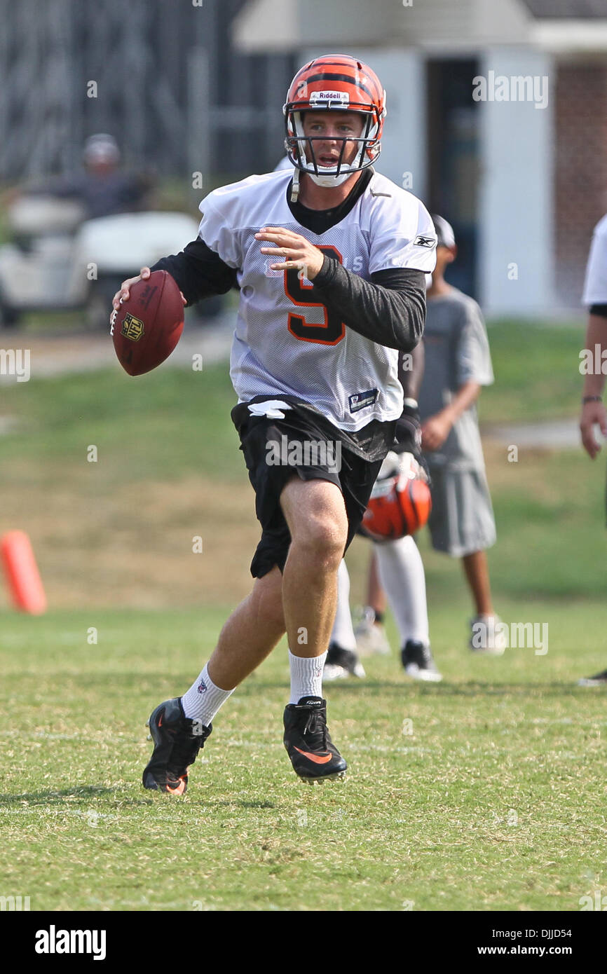 Carson palmer hi-res stock photography and images - Alamy