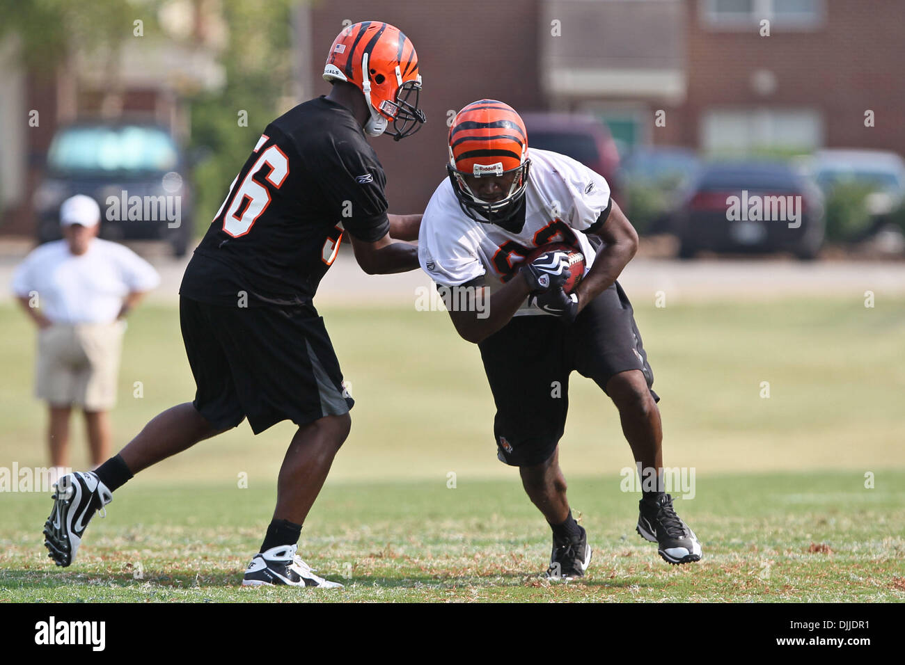 Reggie camp hi-res stock photography and images - Alamy