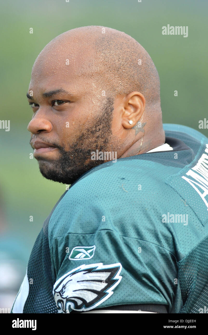 Philadelphia Eagles offensive lineman Stacy Andrews #76 watches ...